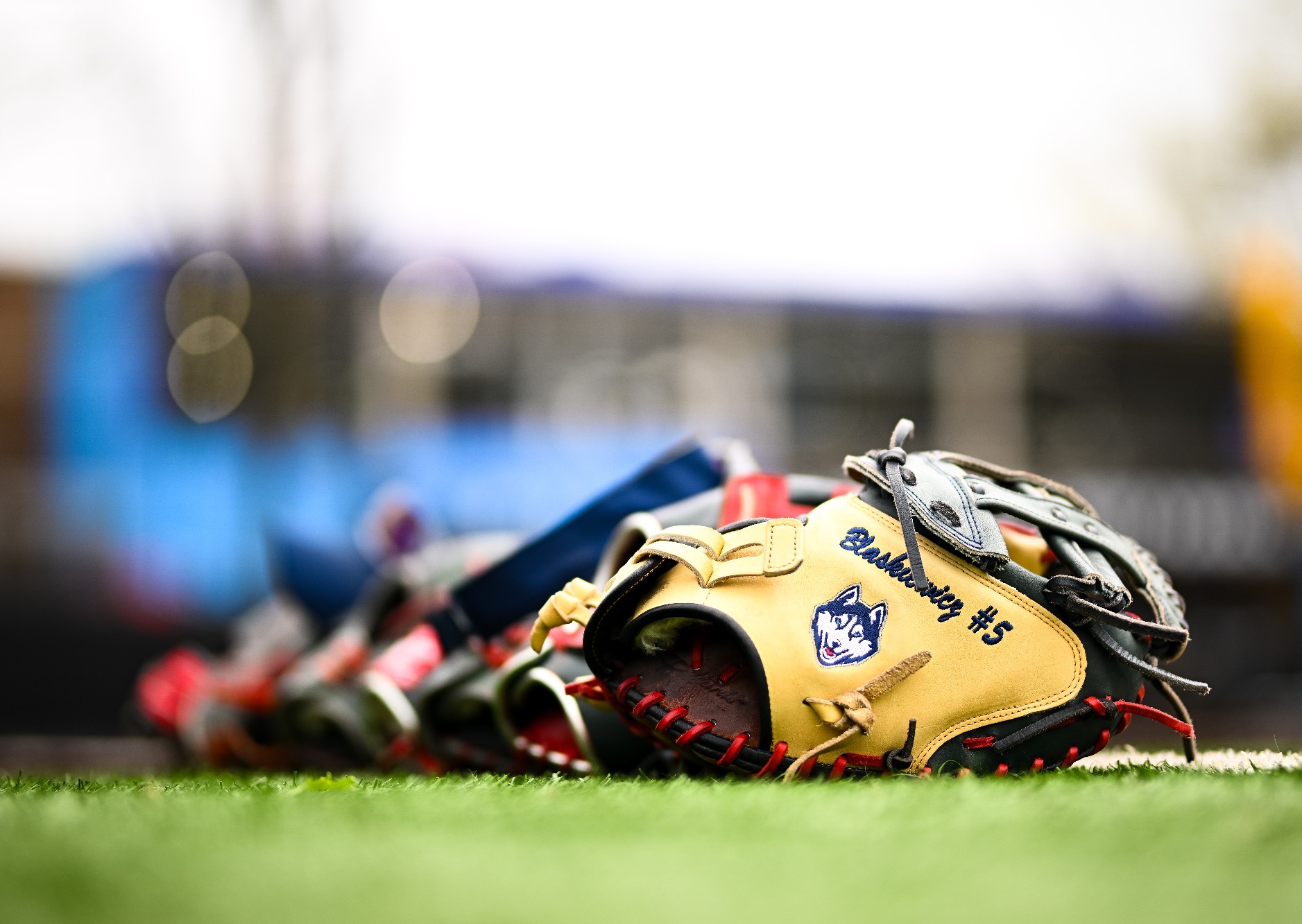 UConn to Celebrate 50 Years of UConn Softball - University of ...