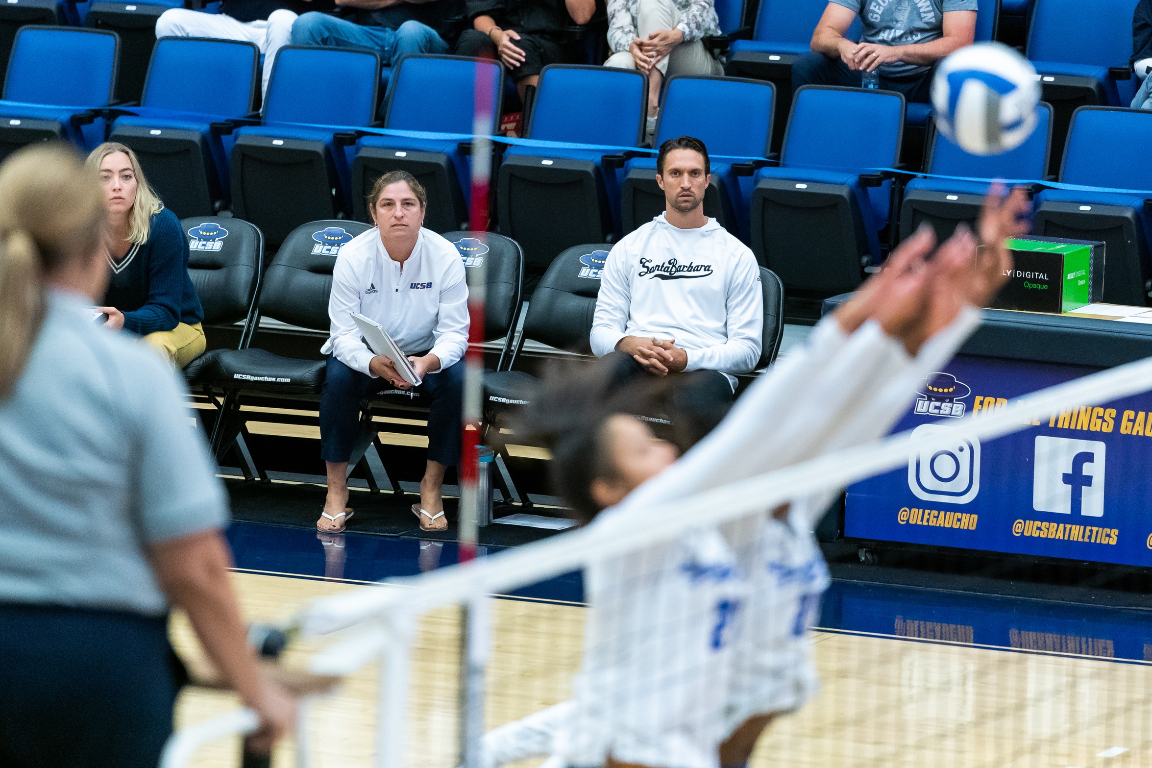 Welch Retires, Jones Promoted In Women's Volleyball Coaching Change ...