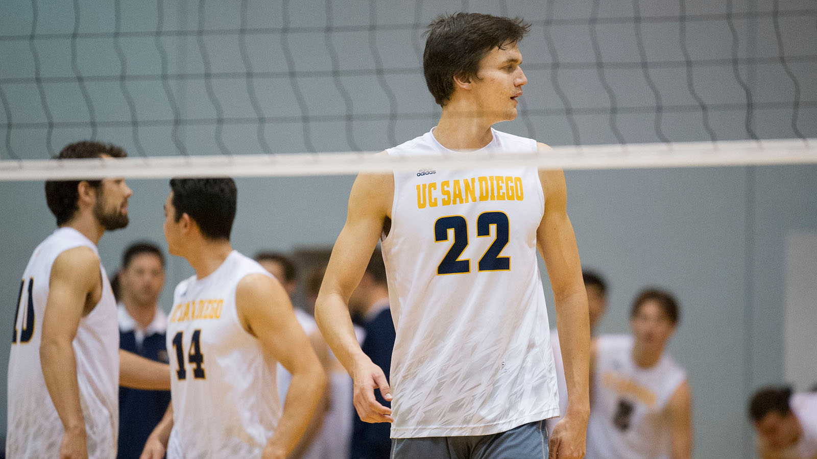 UC San Diego Drops First Meeting With No. 7 Hawai'i - UC San Diego