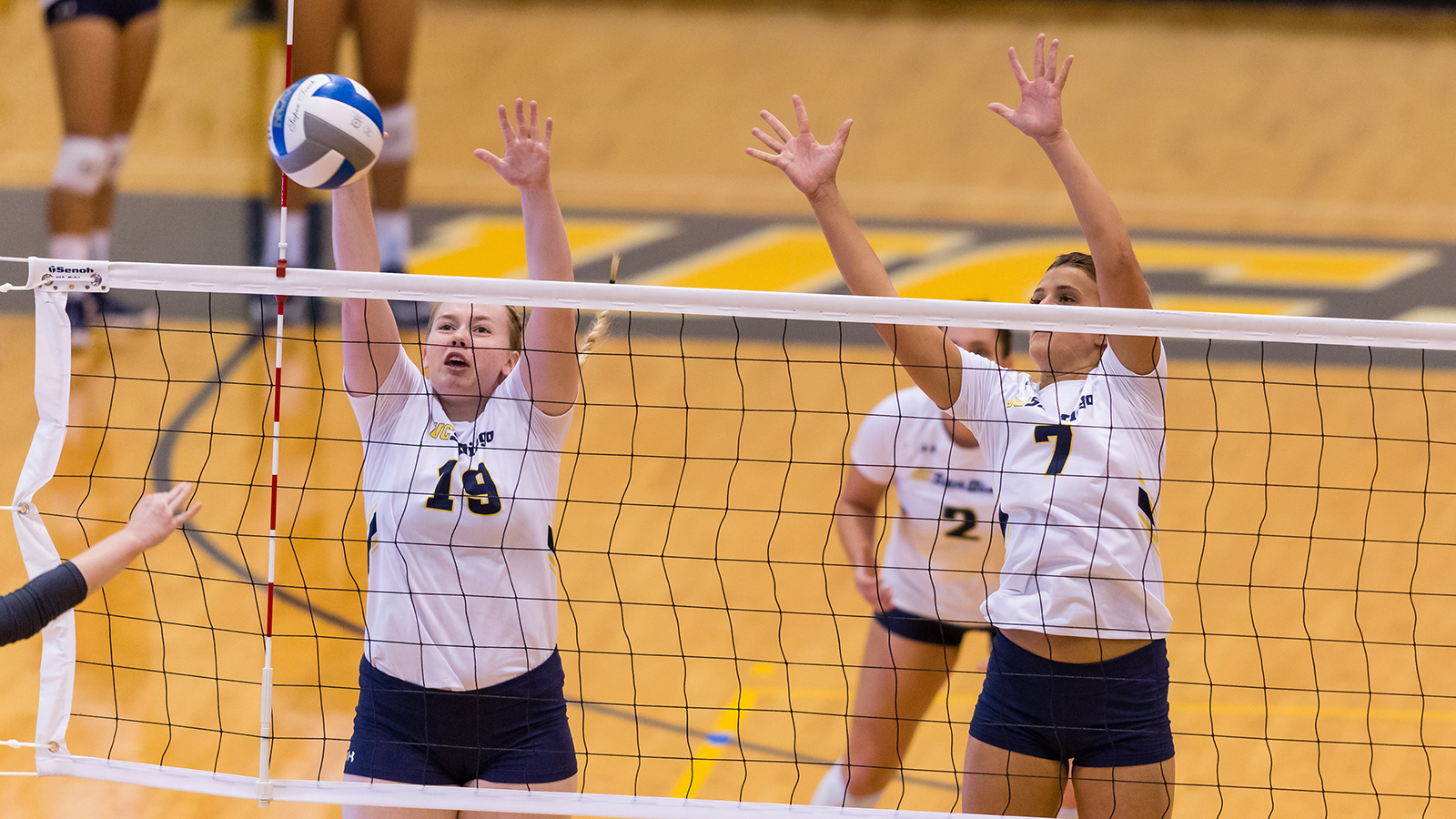 Claudia Mathews - 2019 - Women's Volleyball - UC San Diego