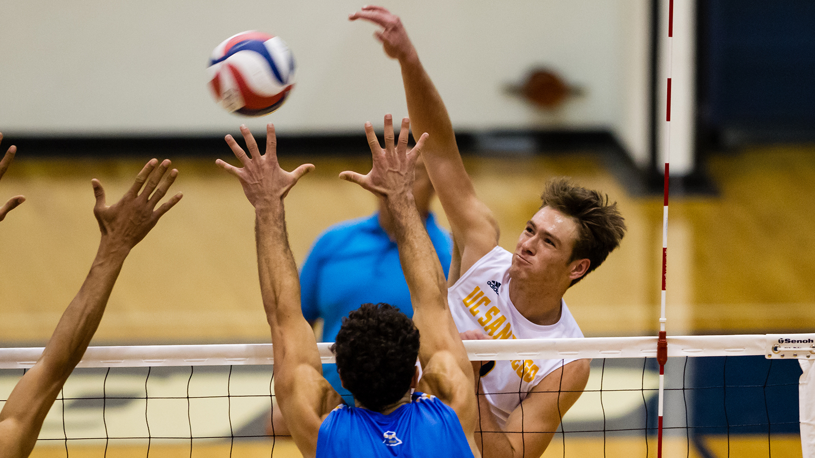 Tritons Swept at No. 5 UC Santa Barbara - UC San Diego