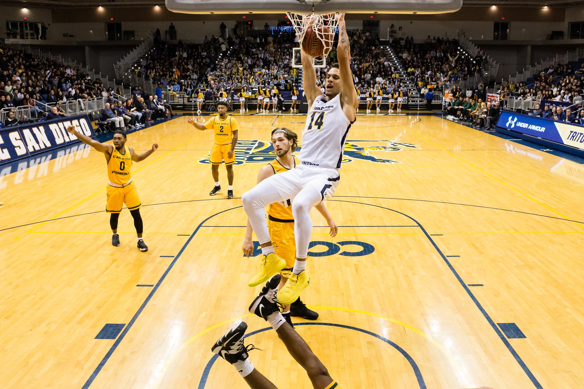 Christian Oshita - 2019-20 - Men's Basketball - UC San Diego