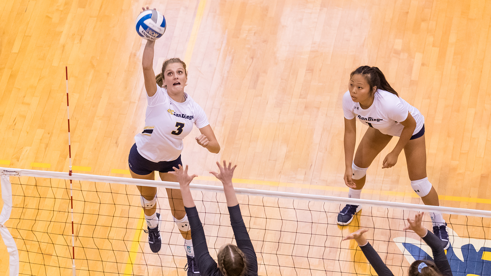 Rebecca Whitney - 2019 - Women's Volleyball - UC San Diego