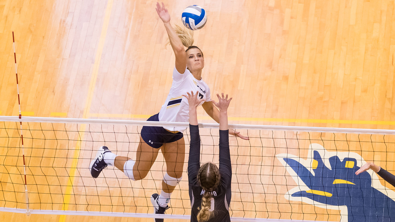 Claudia Mathews - 2019 - Women's Volleyball - UC San Diego