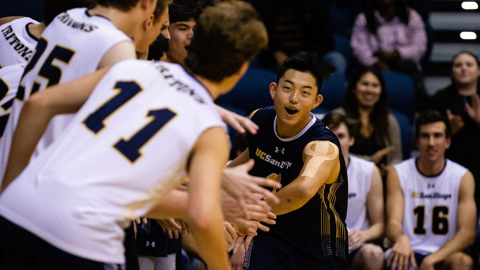 Ryan Lew - 2020 - Men's Volleyball - UC San Diego