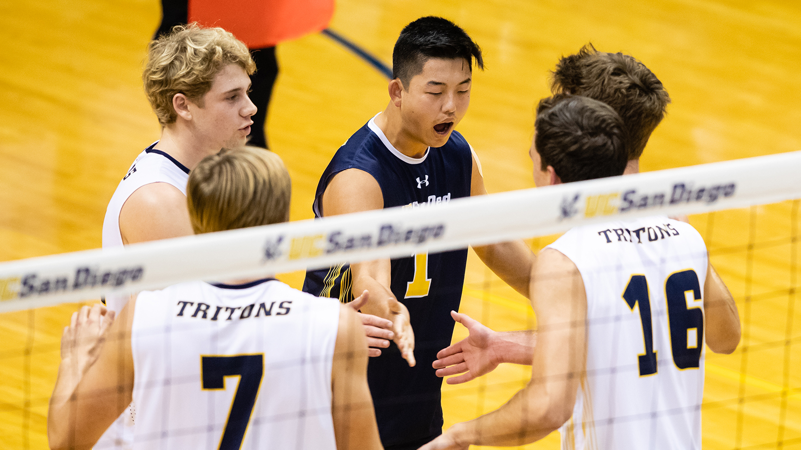 Ryan Lew - 2020 - Men's Volleyball - UC San Diego
