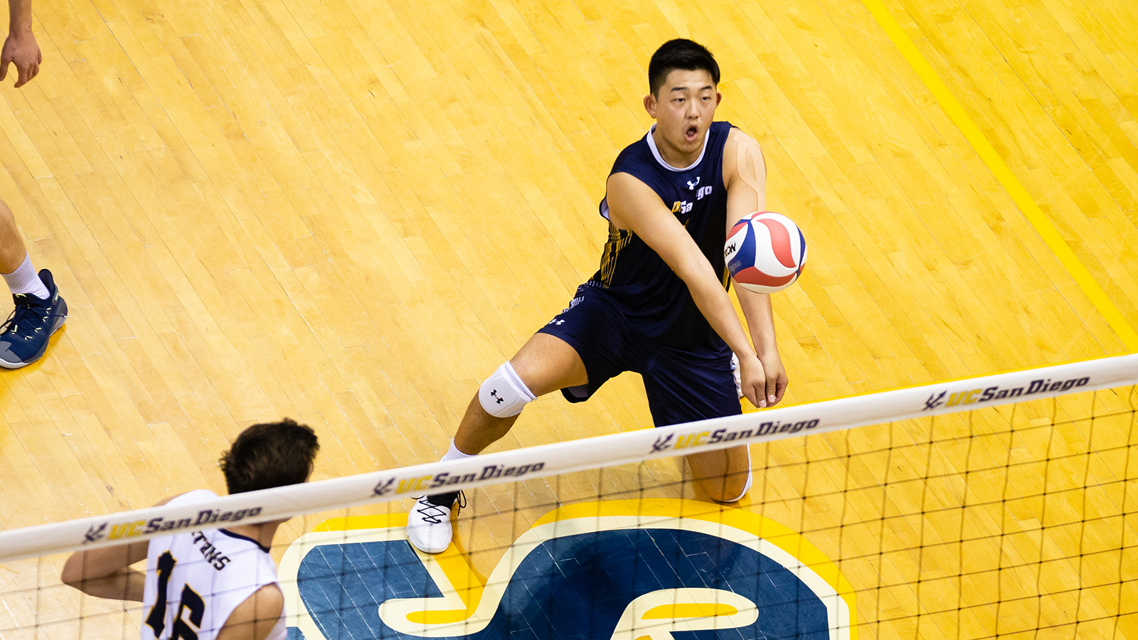 Ryan Lew - 2020 - Men's Volleyball - UC San Diego