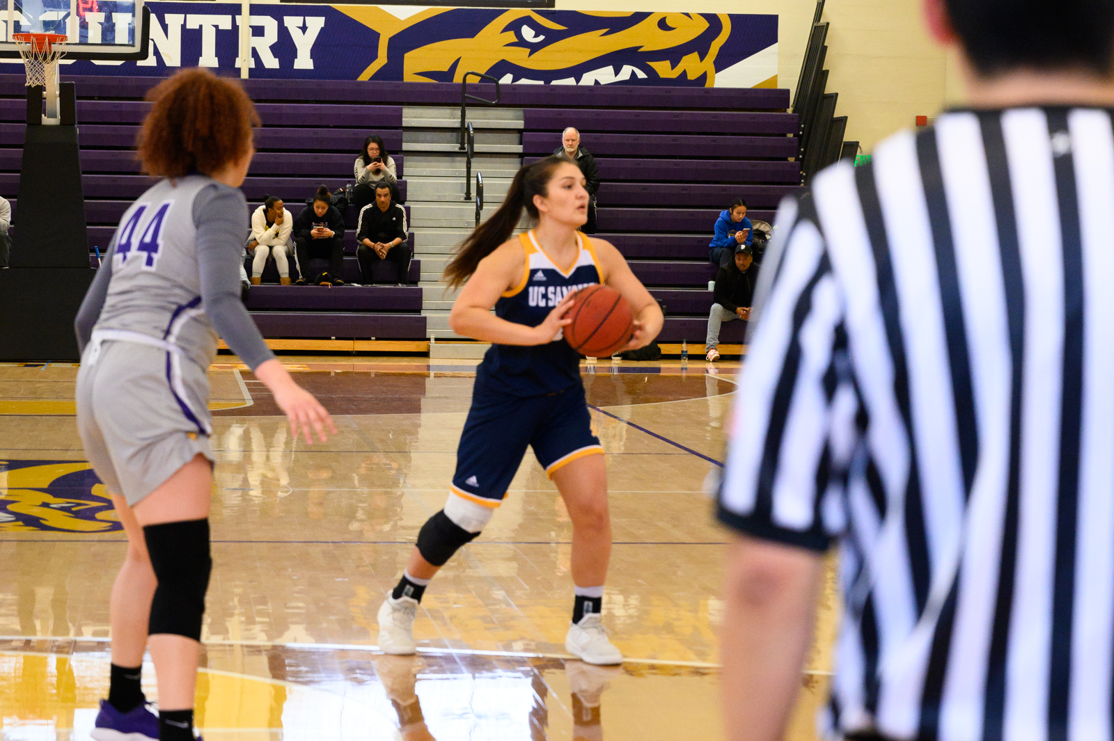 Shandiin Armao - 2018-19 - Women's Basketball - UC San Diego