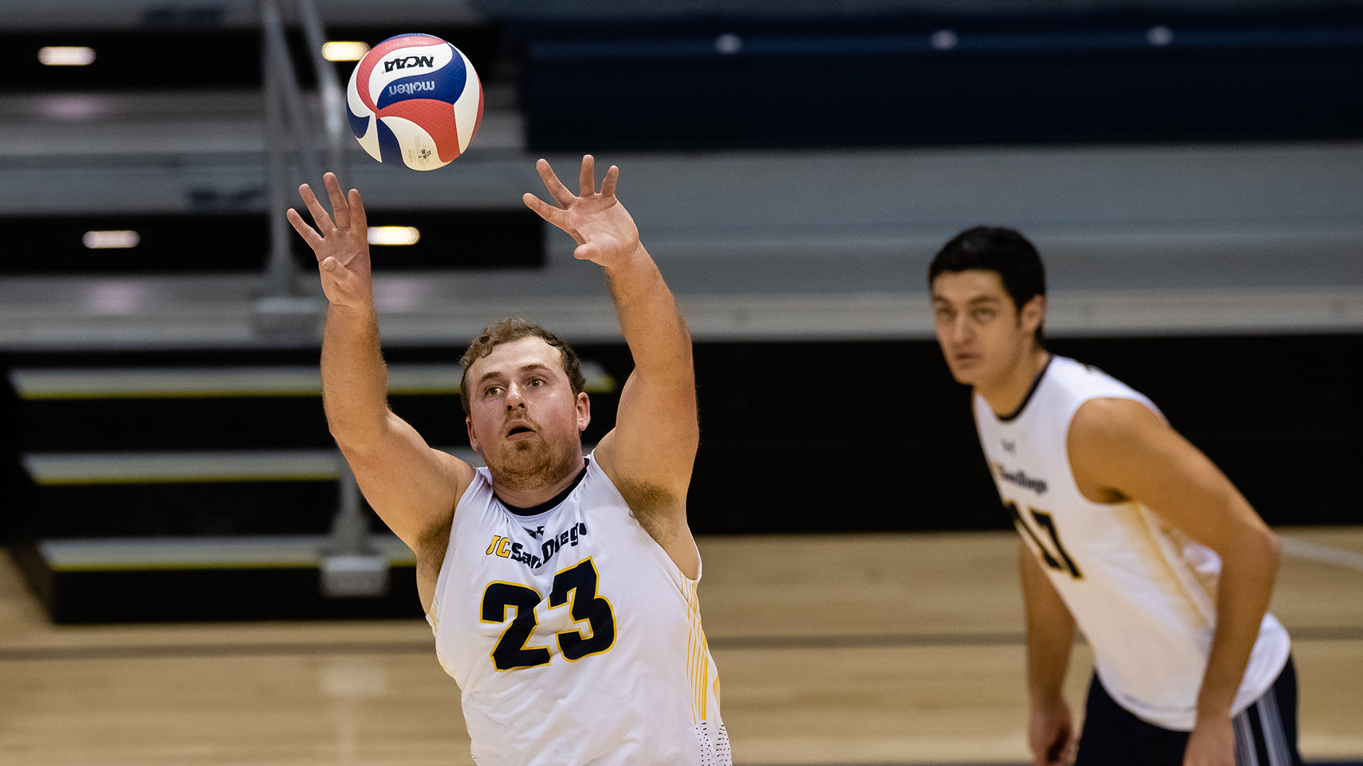 Blake Crisp - 2022 - Men's Volleyball - UC San Diego