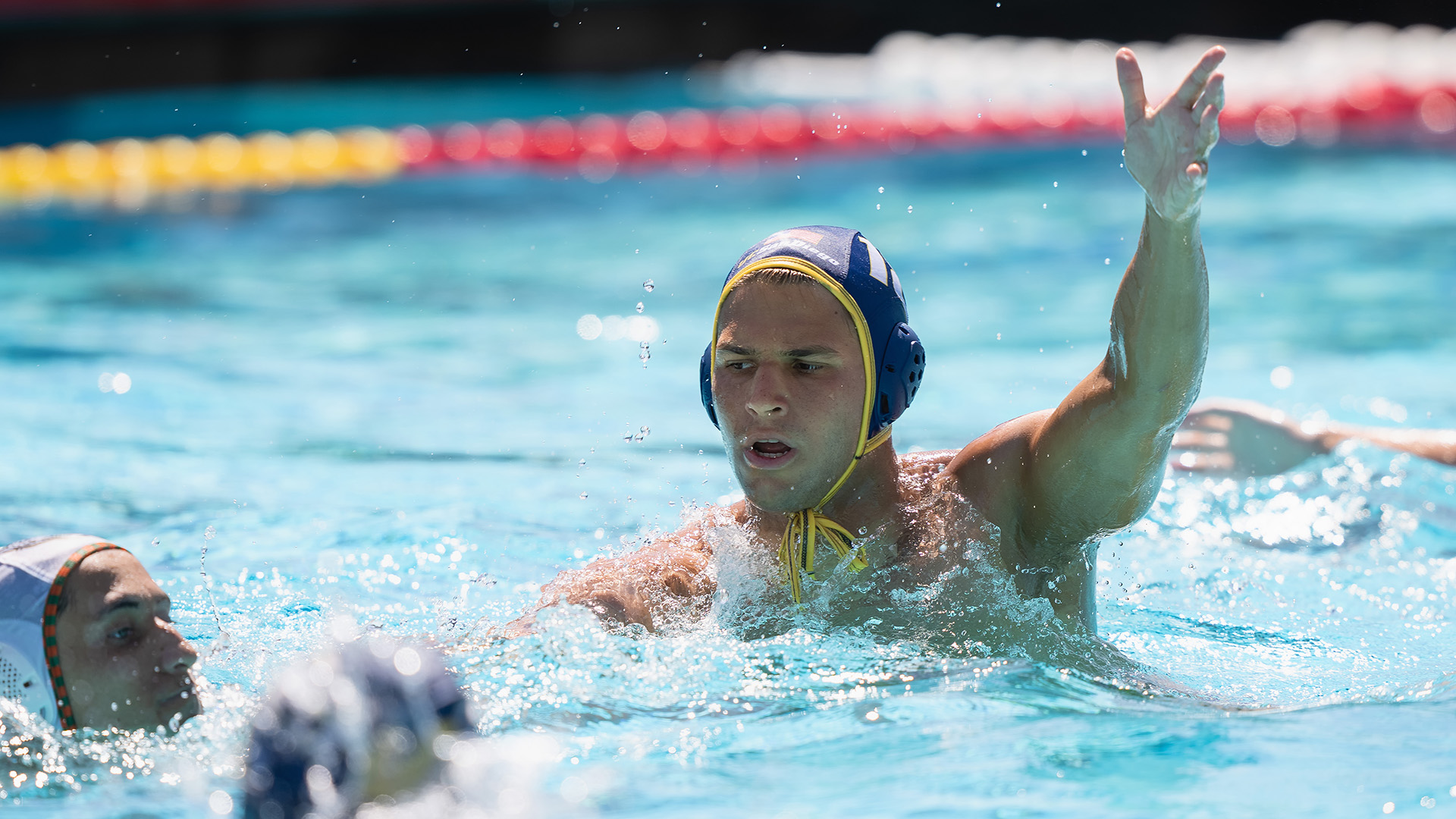 Connor Stauffer - 2022 - Men's Water Polo - UC San Diego