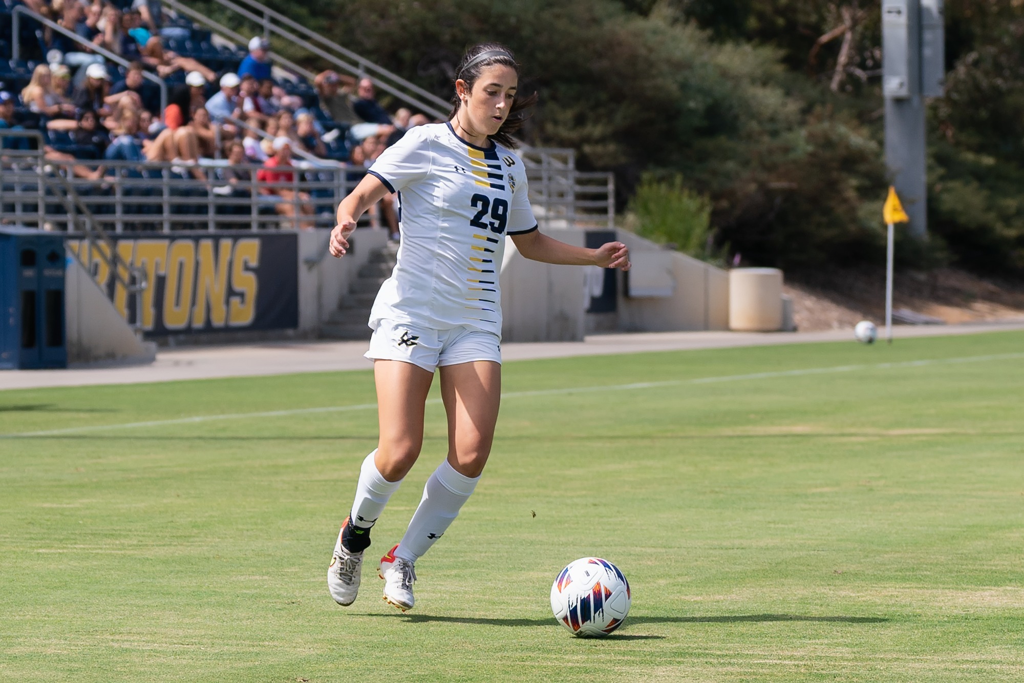 Corinne Wilson - 2024 - Women's Soccer - UC San Diego
