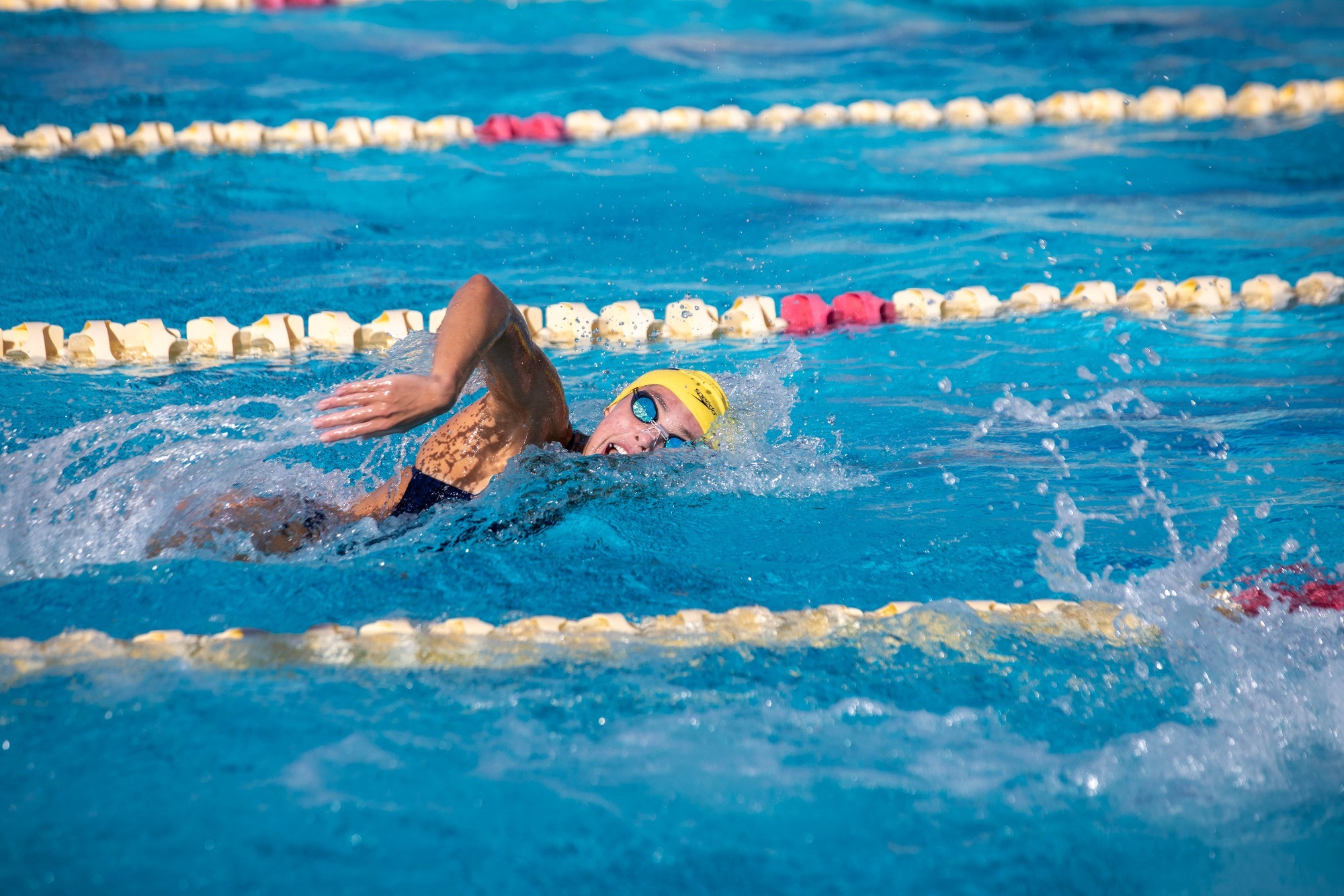 Miranda Renner - 2023-24 - Swimming - UC San Diego