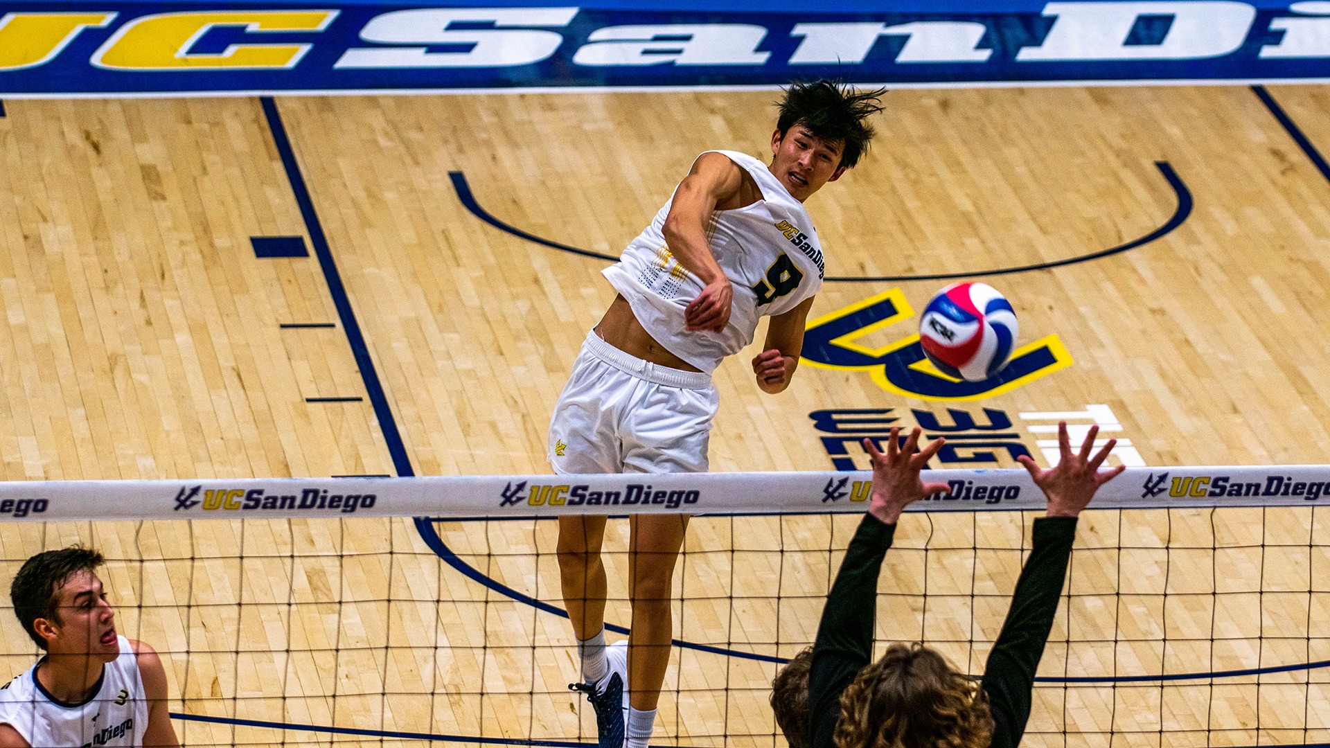 Tritons Swept by No. 4 Long Beach State at LionTree Arena - UC San Diego