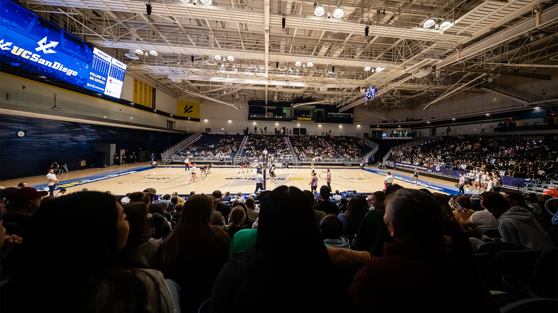 Tritons Fall to Rainbow Wahine - UC San Diego