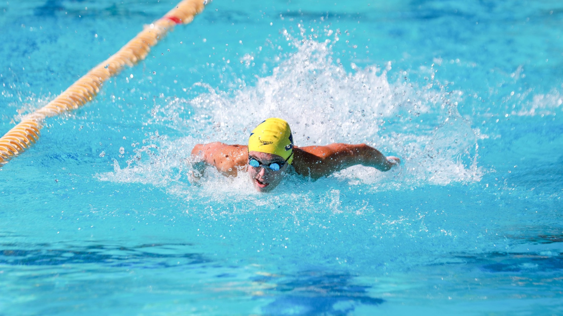 Miranda Renner - 2023-24 - Swimming - UC San Diego