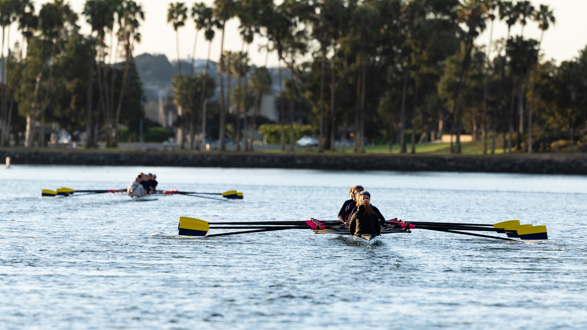 Women’s Rowing Announces 2025 Schedule - UC San Diego