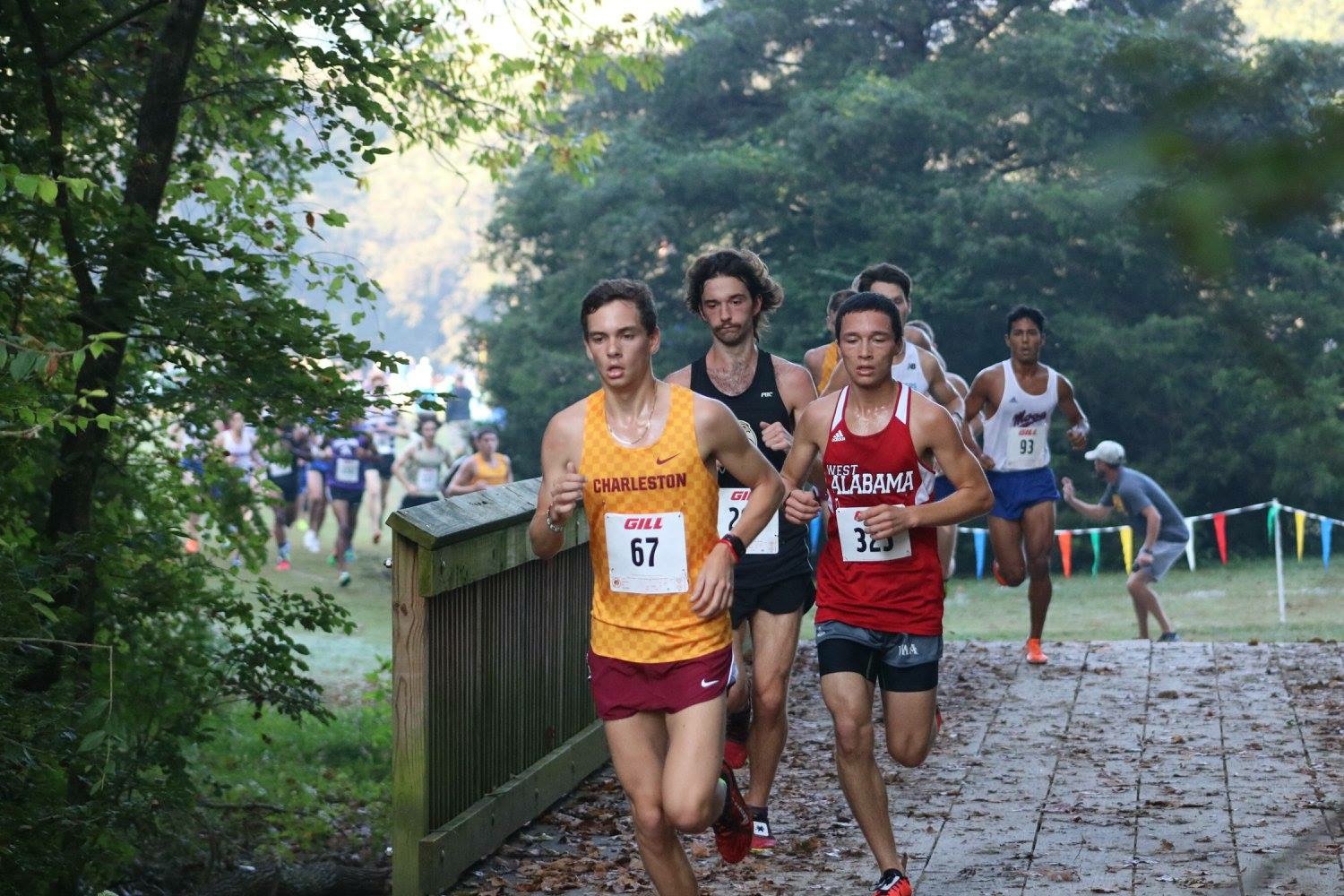 David Cecchi - Men's Cross Country - University of Charleston Athletics