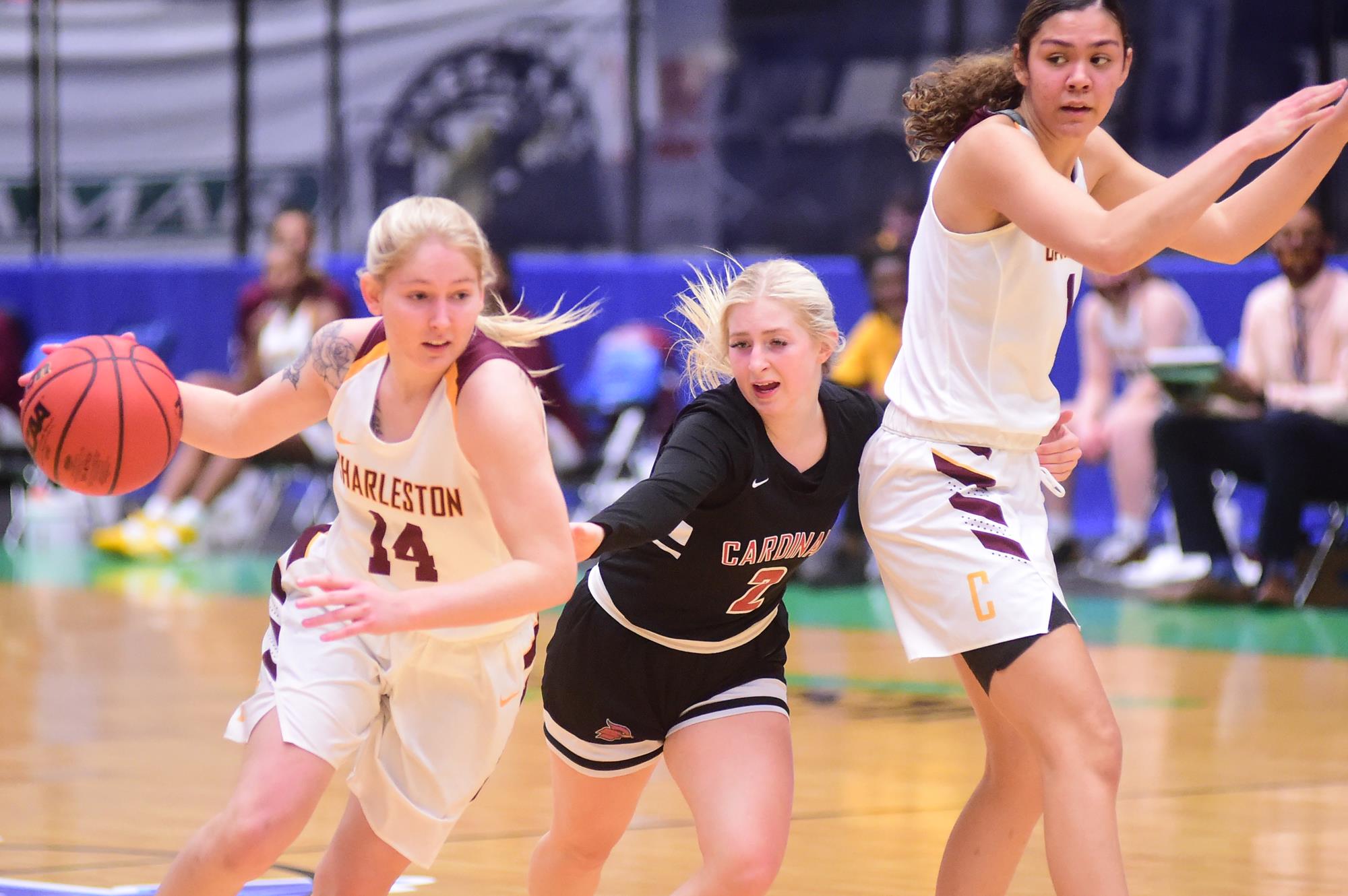 Dakota Reeves - Women's Basketball - University of Charleston Athletics