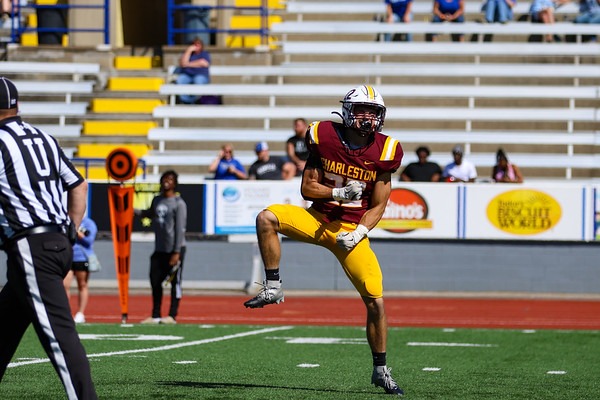 The University of Charleston Announces Michael Tesch as New Head ...