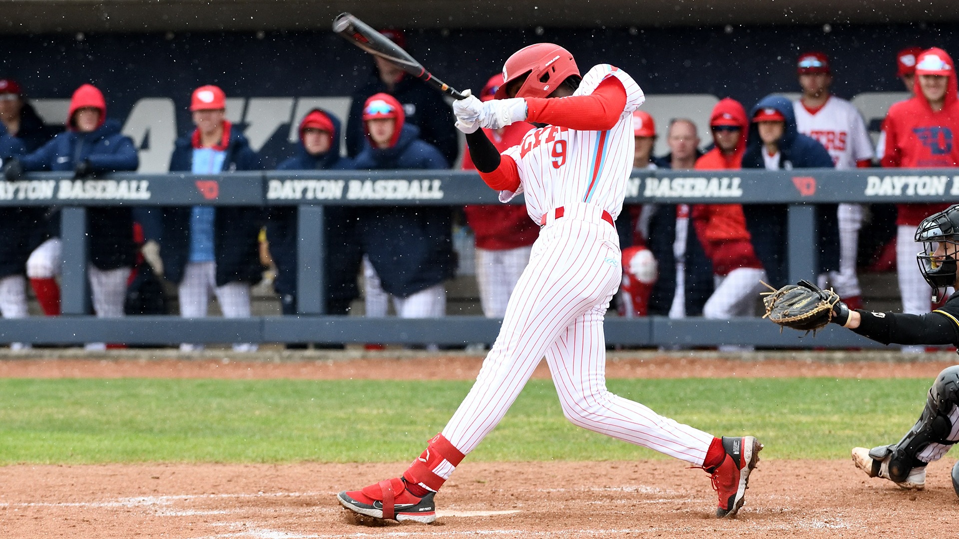 David Pedanou - Baseball - University of Dayton Athletics