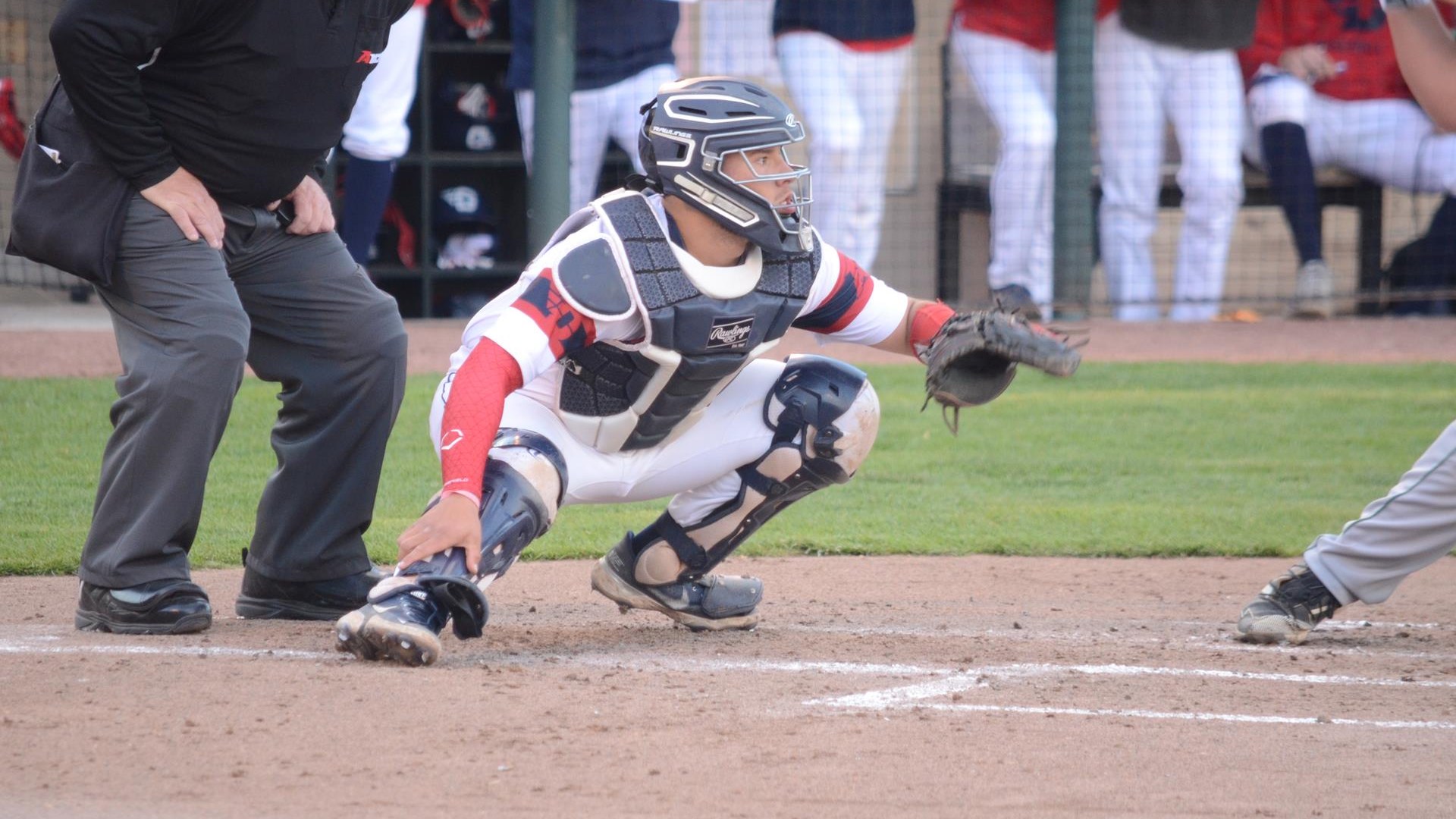 Jay Curtis - Baseball - University of Dayton Athletics