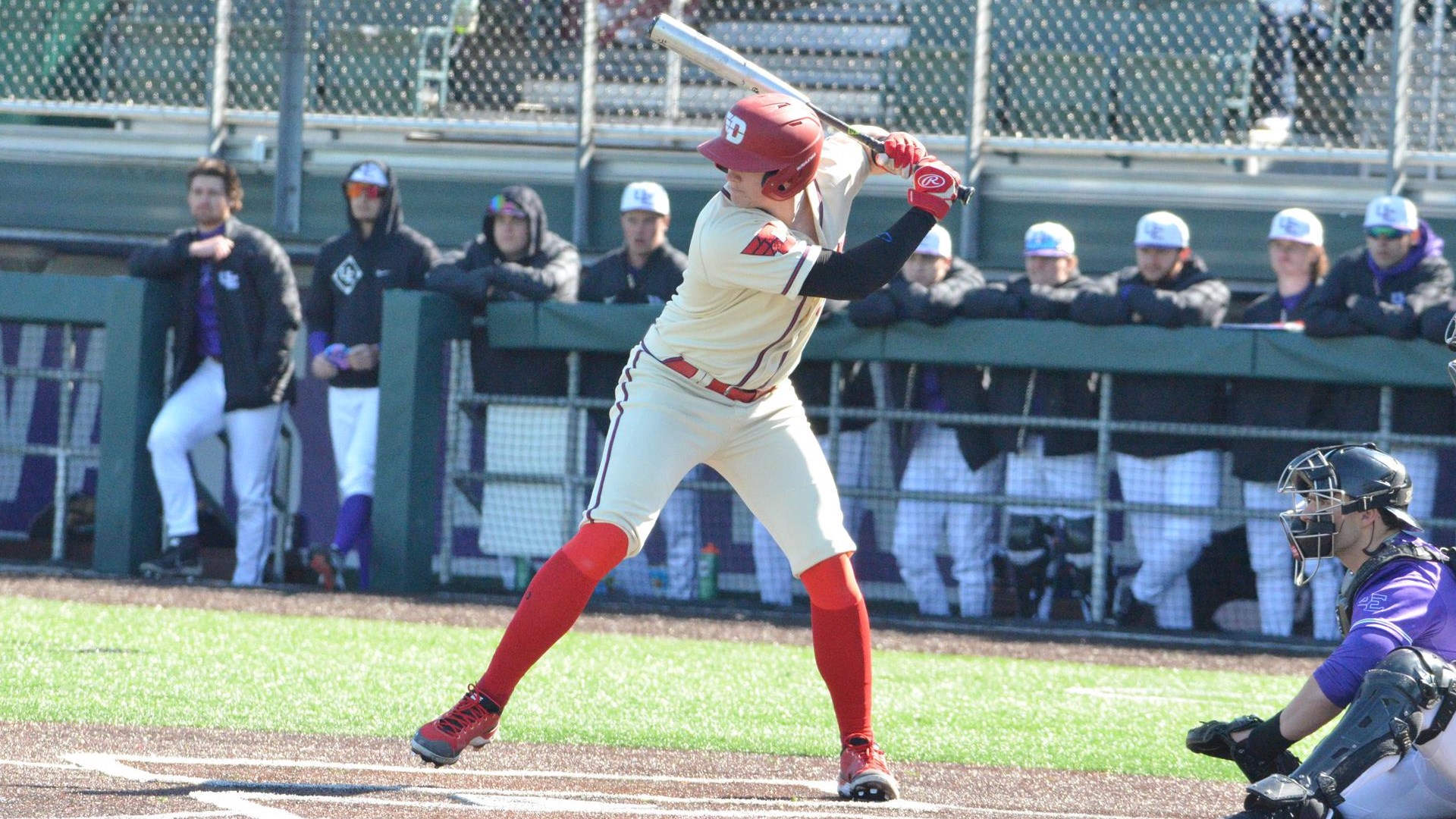 Alex Neff - Baseball - University of Dayton Athletics