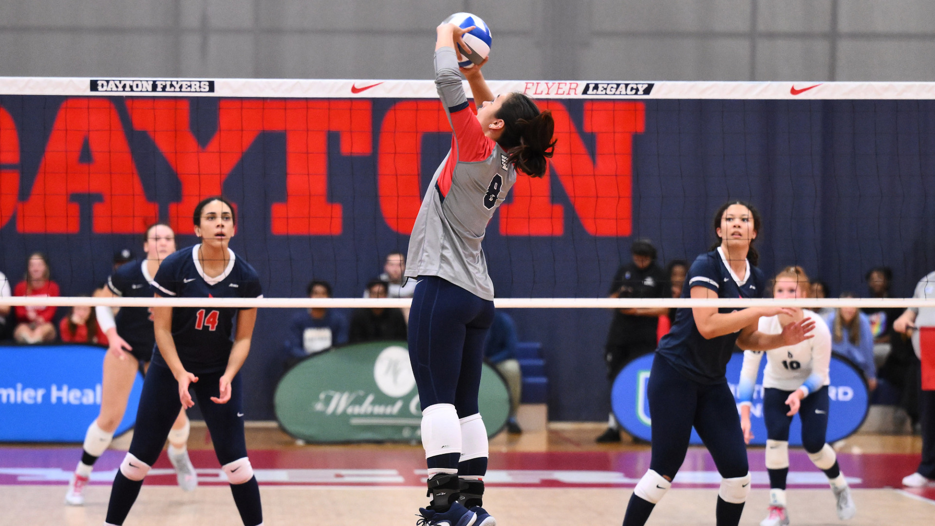 Alyssa Miller - Women's Volleyball - University of Dayton Athletics