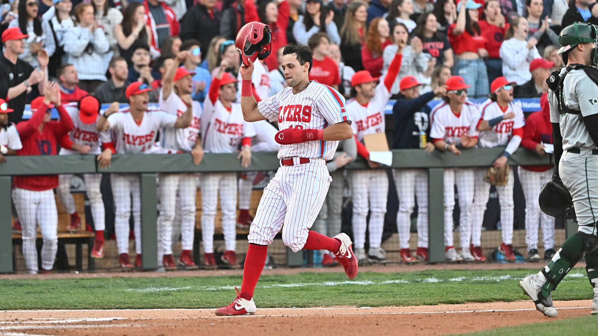 Nolan Watson - Baseball - University of Dayton Athletics