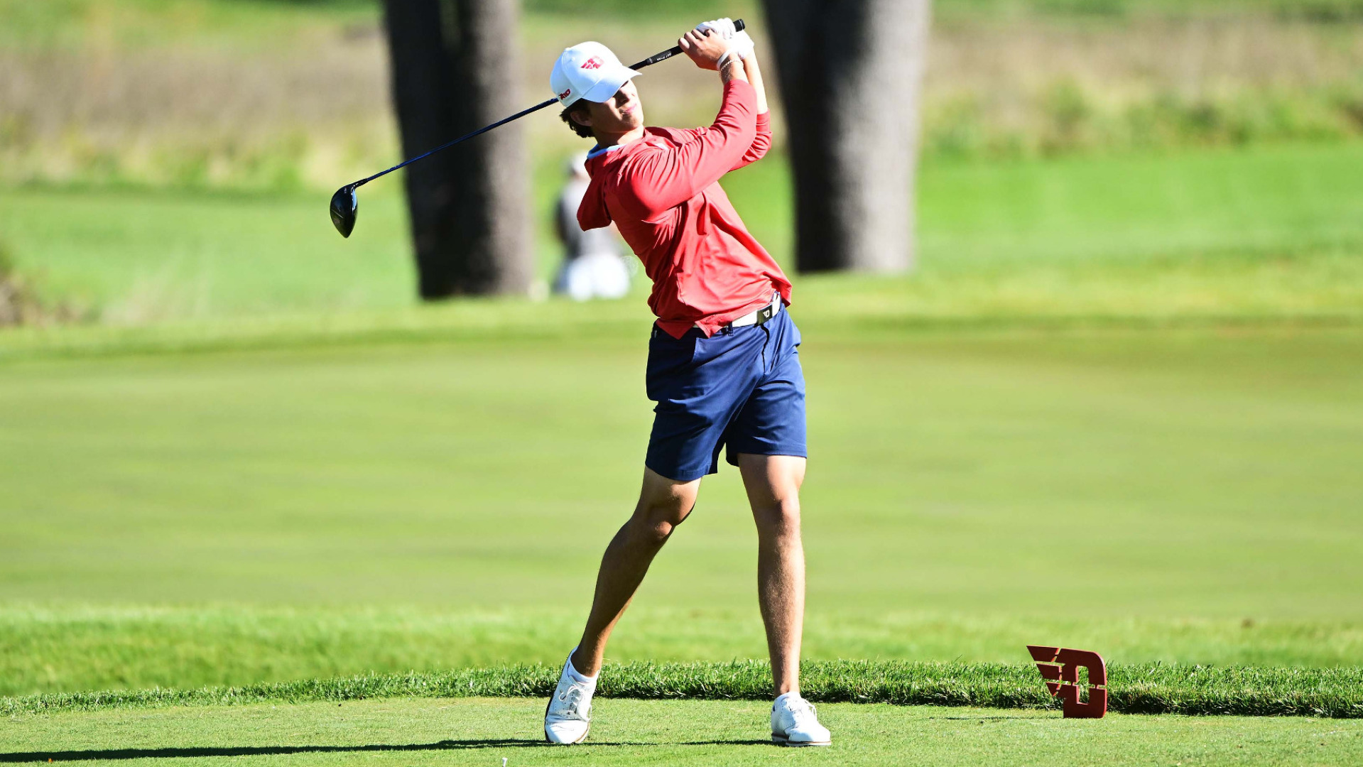 Caliguri, Cors Lead Men's Golf At Babygrande Golf Donald Ross ...