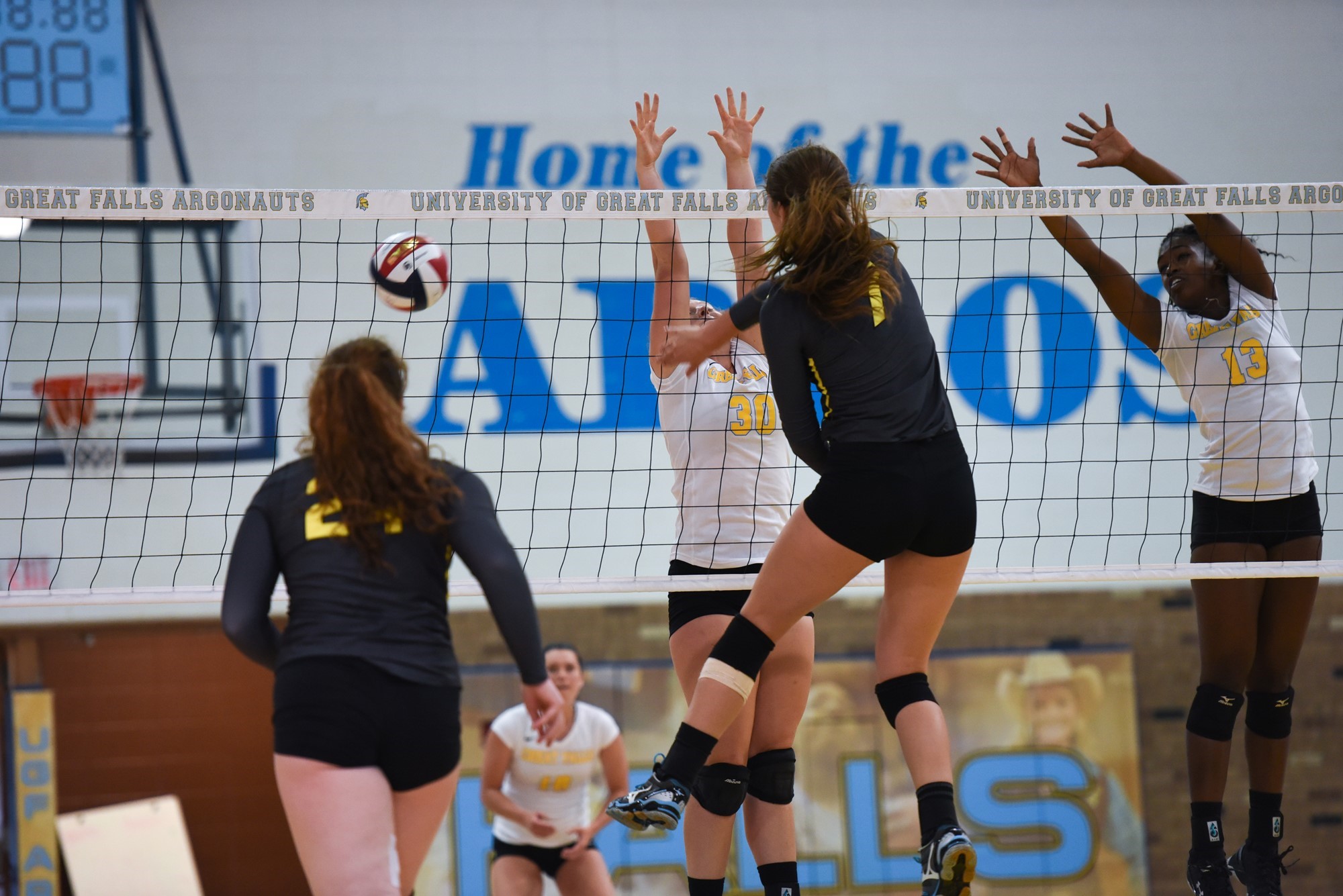 Josee Pendleton - 2017 - Women's Volleyball - University of Providence ...