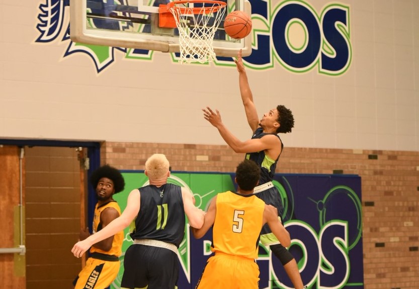 Brandon Cotton - 2019-20 - Men's Basketball - University of Providence ...