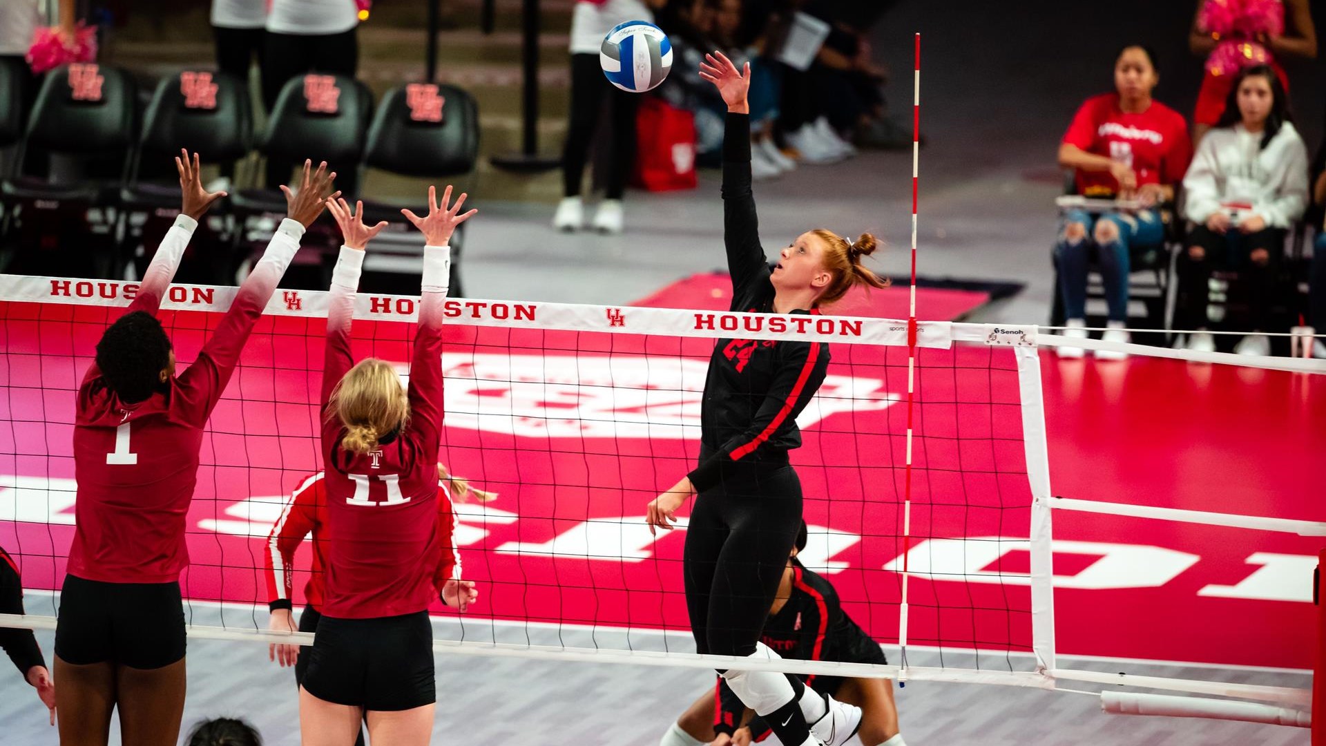 Abbie Jackson - Volleyball - University of Houston Athletics