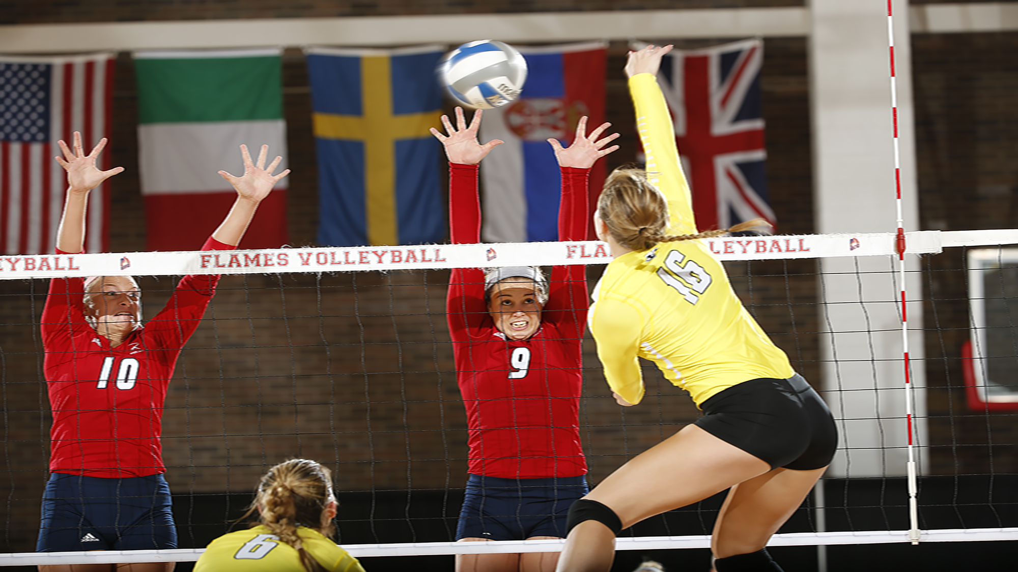 Ali Witt - Volleyball - UIC Athletics