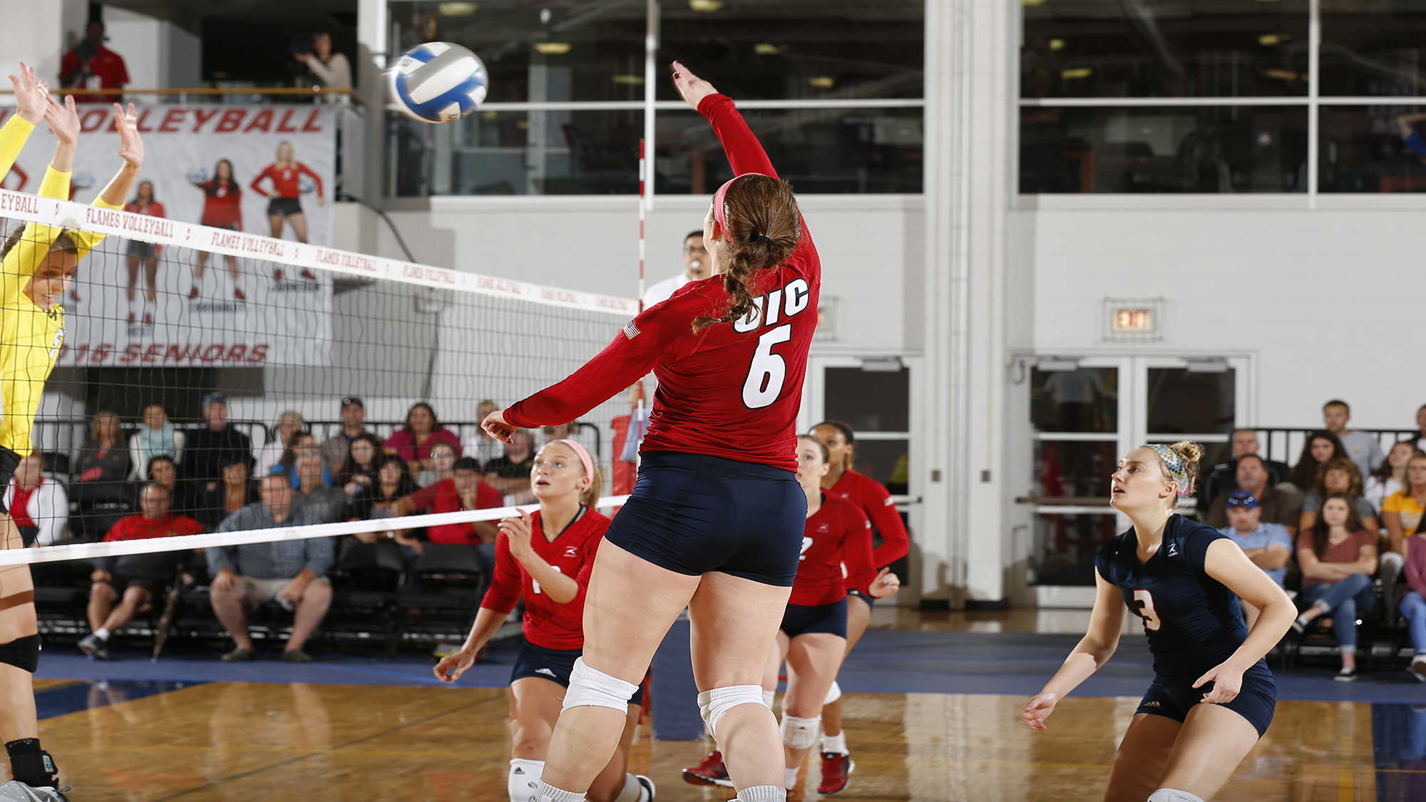 Alyssa Ehrhardt - Volleyball - UIC Athletics