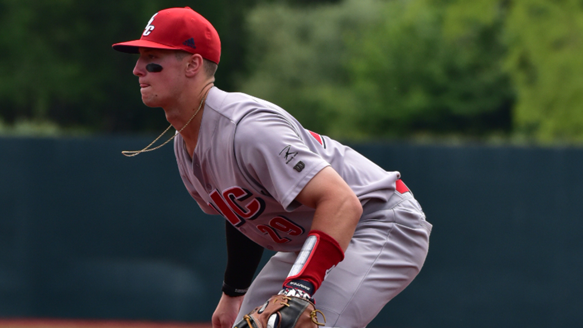 Alex Dee - Baseball - UIC Athletics