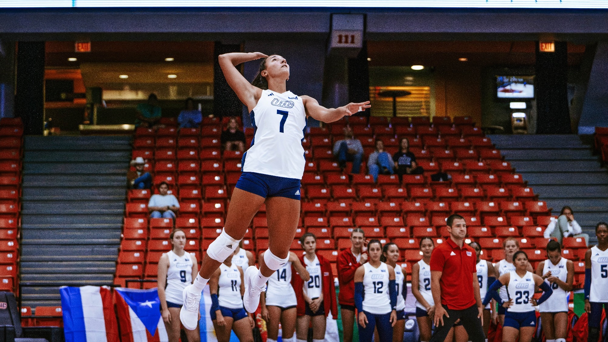 Martina Delucchi - Volleyball - UIC Athletics