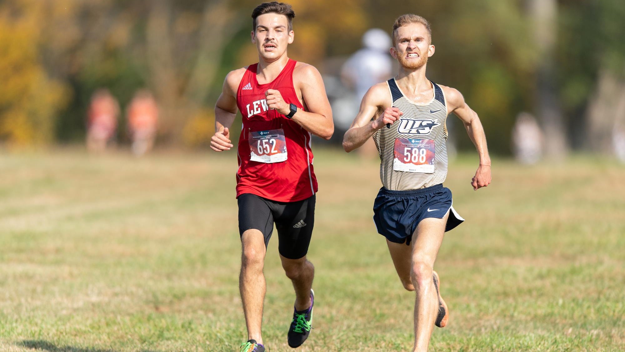 Tyler Pasley - Men's Cross Country - UIS Athletics