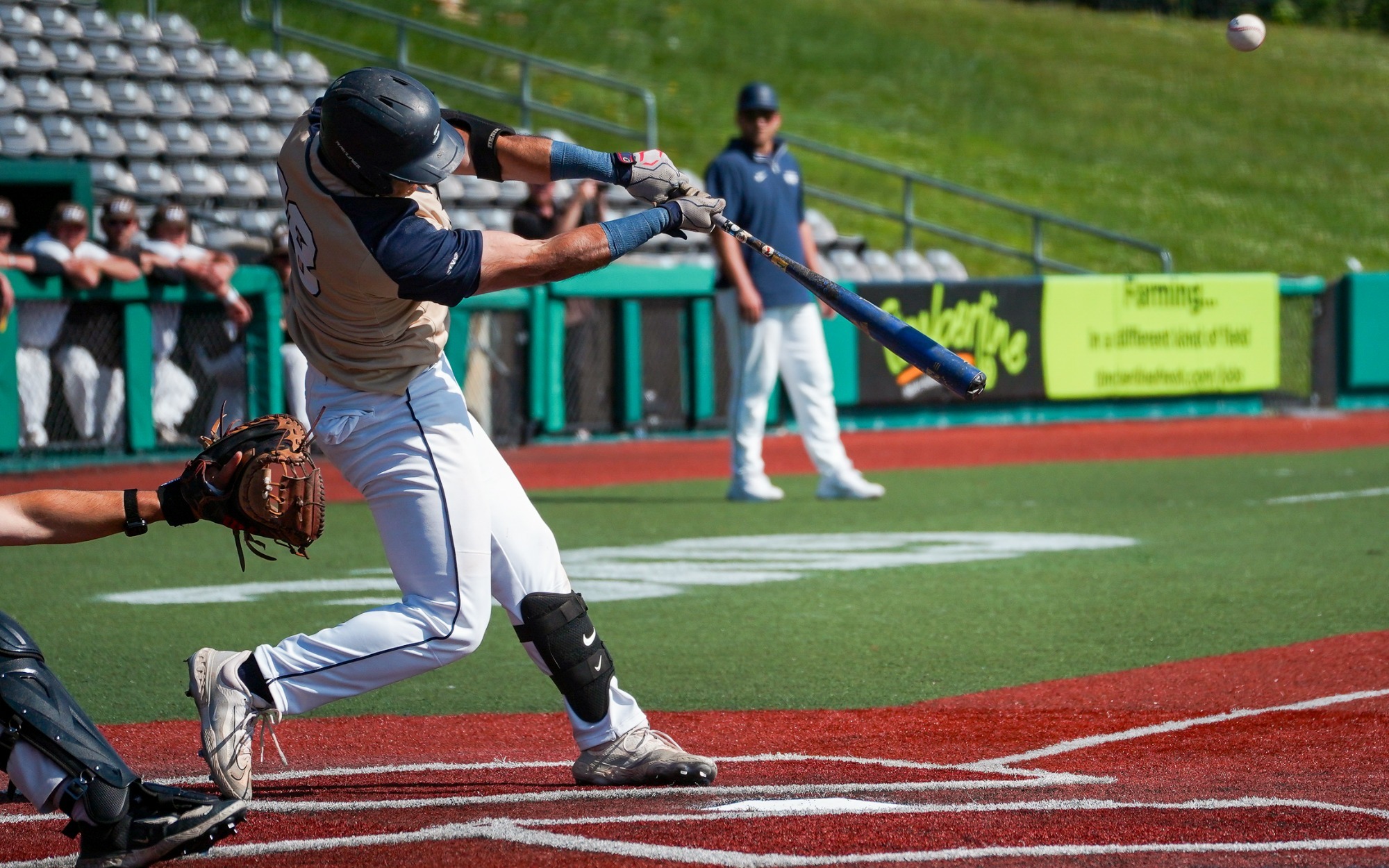 UIS Baseball Lands Six on All-GLVC Teams - UIS Athletics