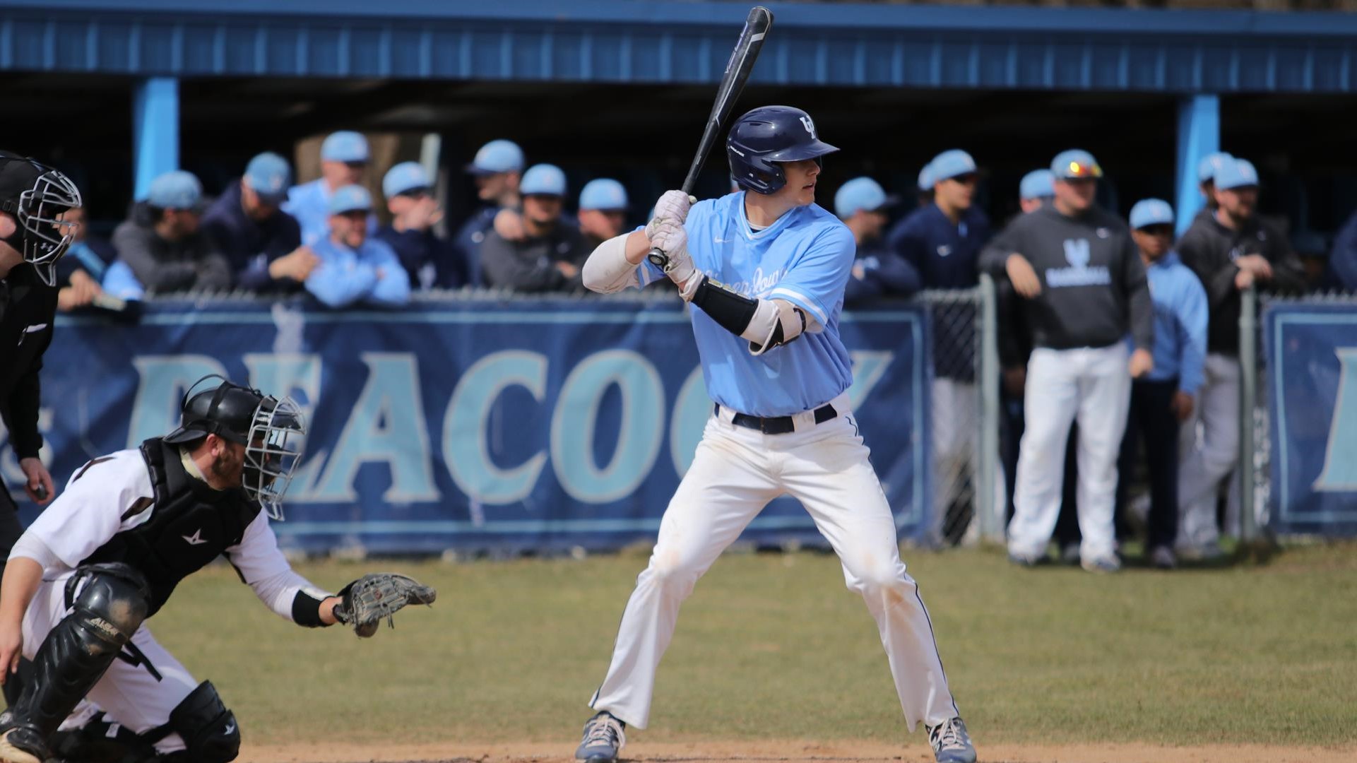Alex Greene - Baseball - Upper Iowa University Athletics