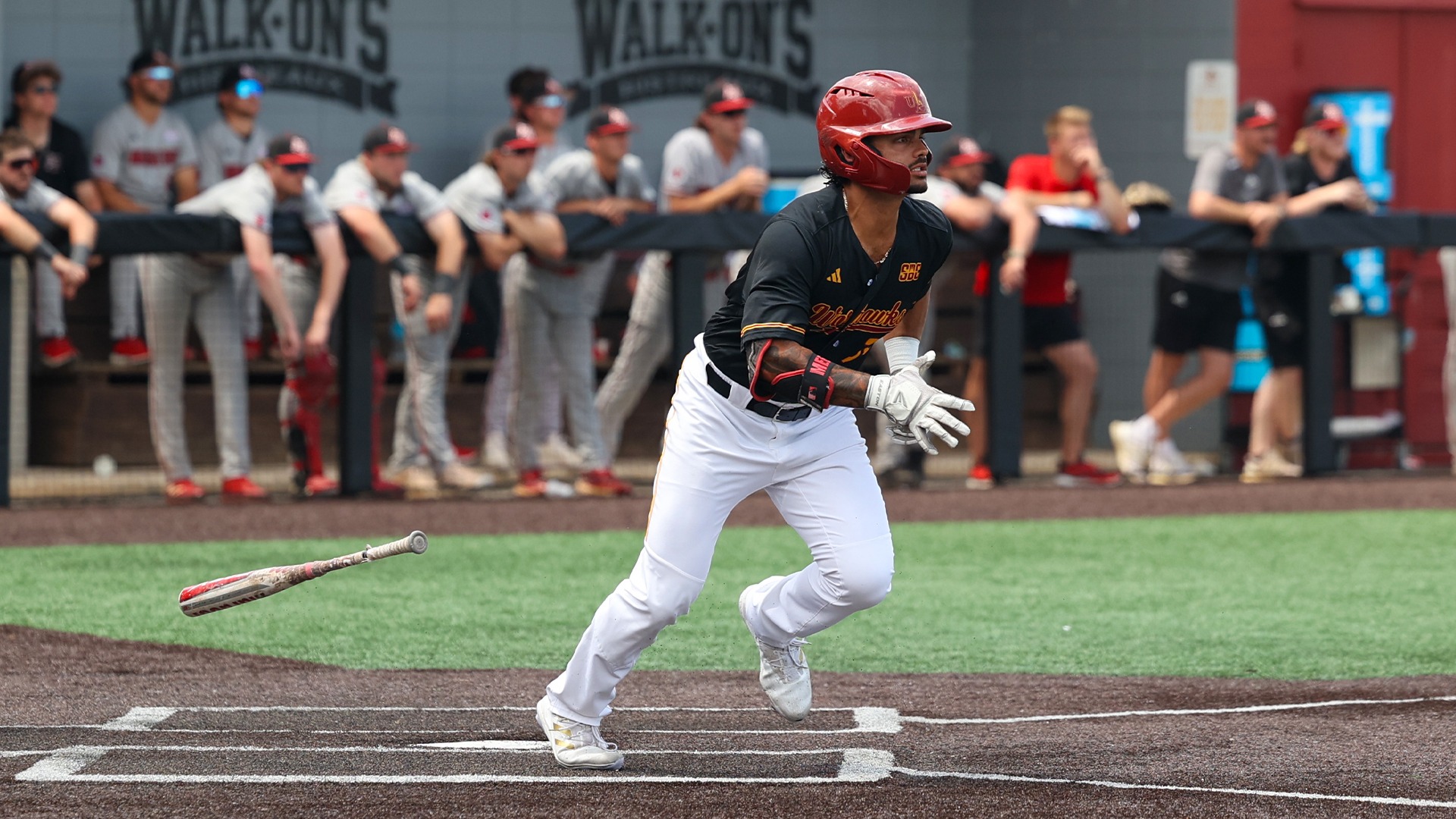 Warhawks Walk-Off, Sweep Red Wolves to Conclude 2024 Season ...