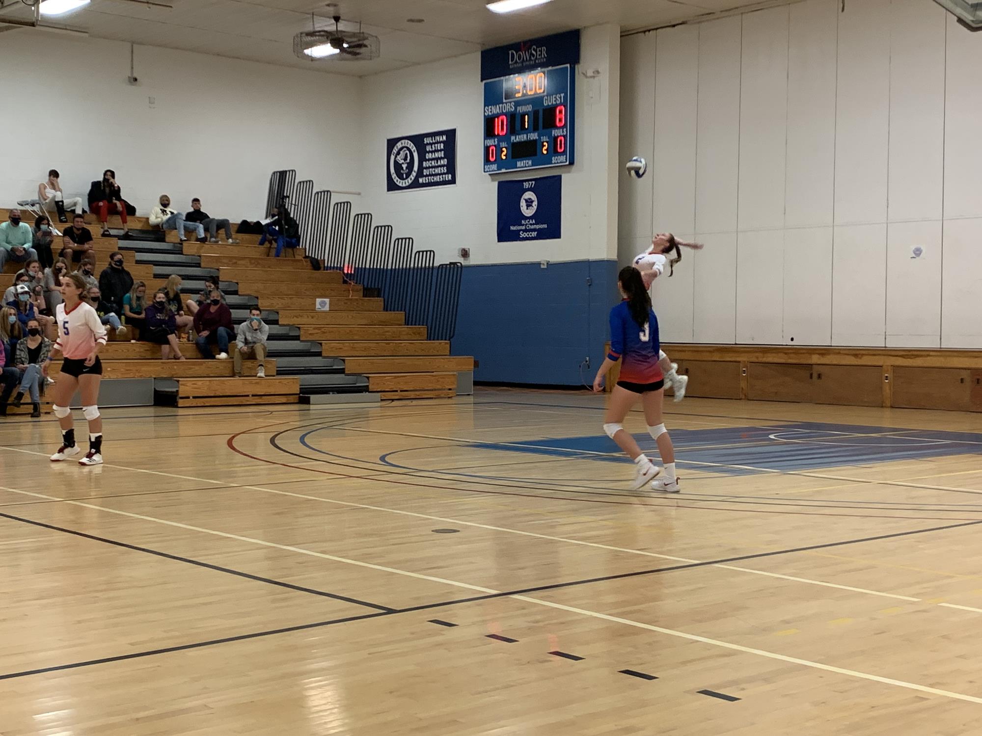 Angela Mayer - Women's Volleyball - Ulster County Community College