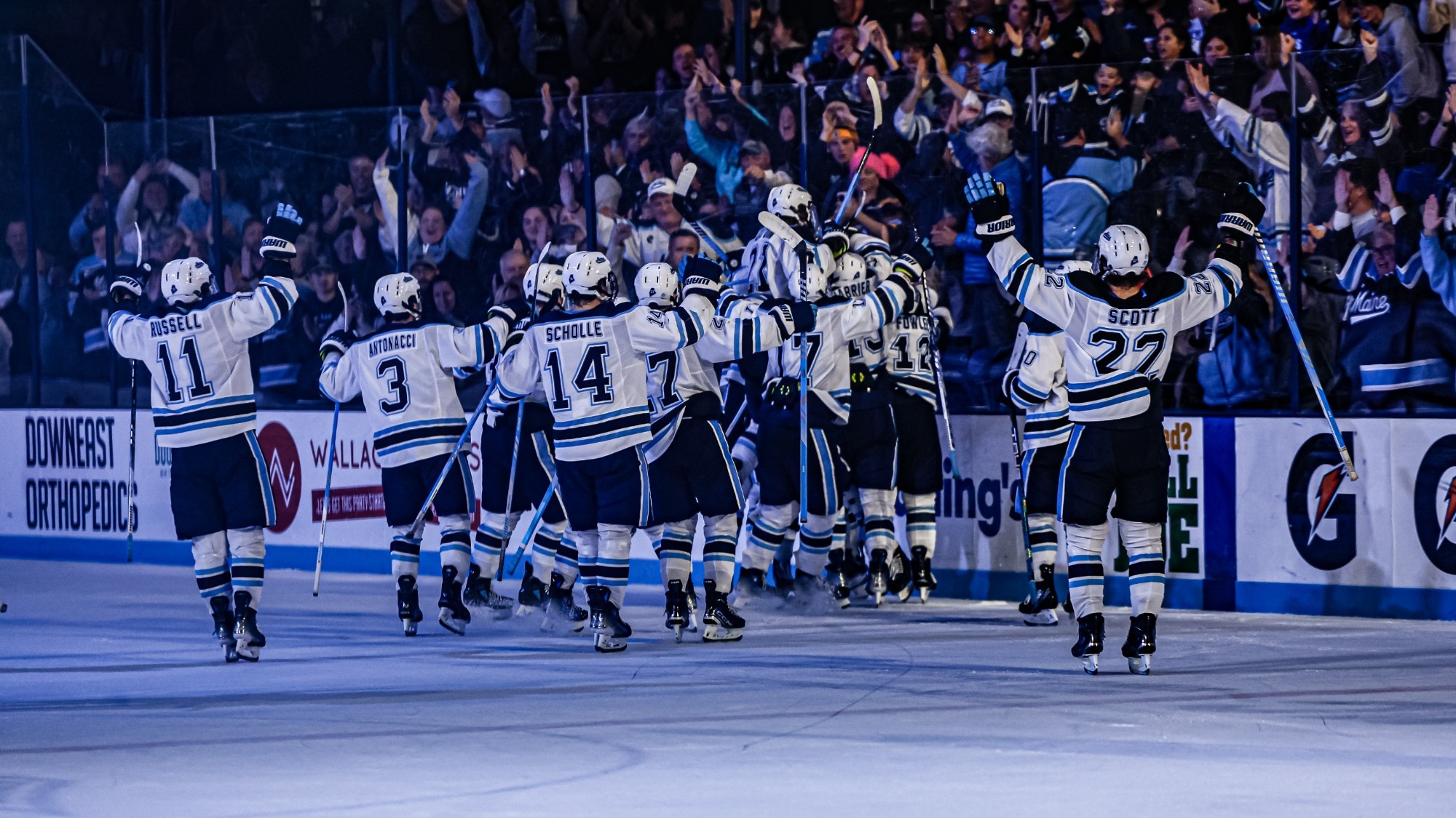 Maine Athletics announces renovation plans for Harold Alfond Sports ...