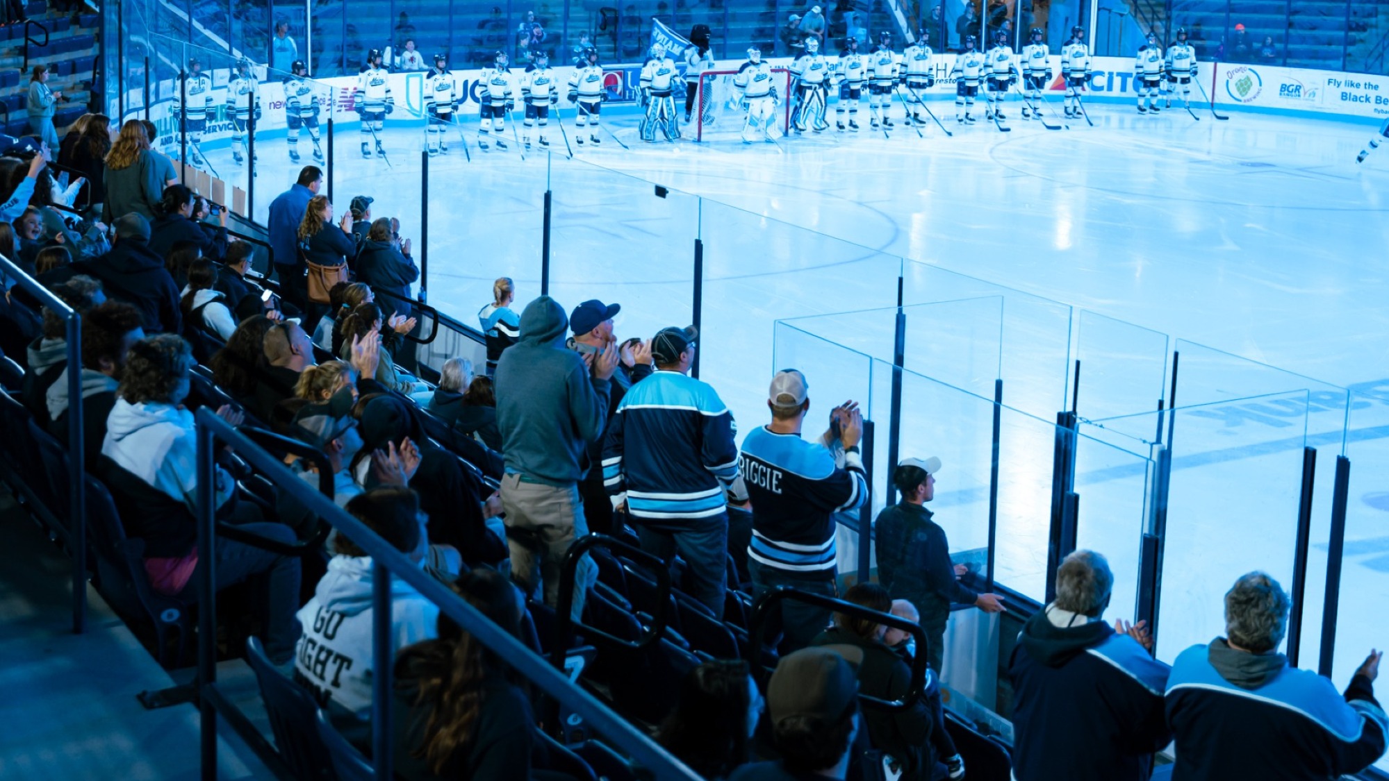 Julia Bachetti Earns Hockey East's Rookie of the Week Award for Second ...