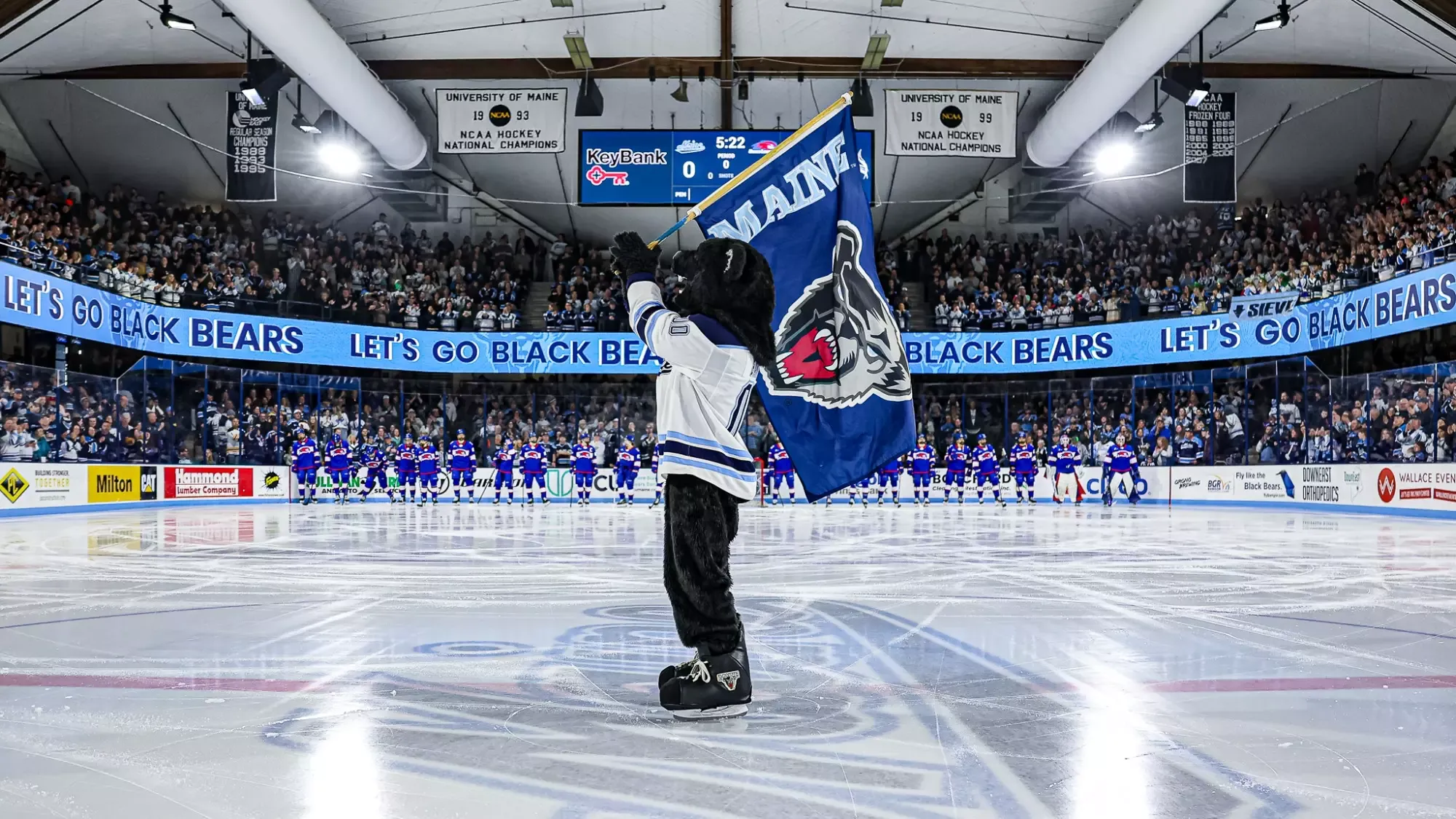 Maine Athletics announces renovation plans for Harold Alfond Sports ...