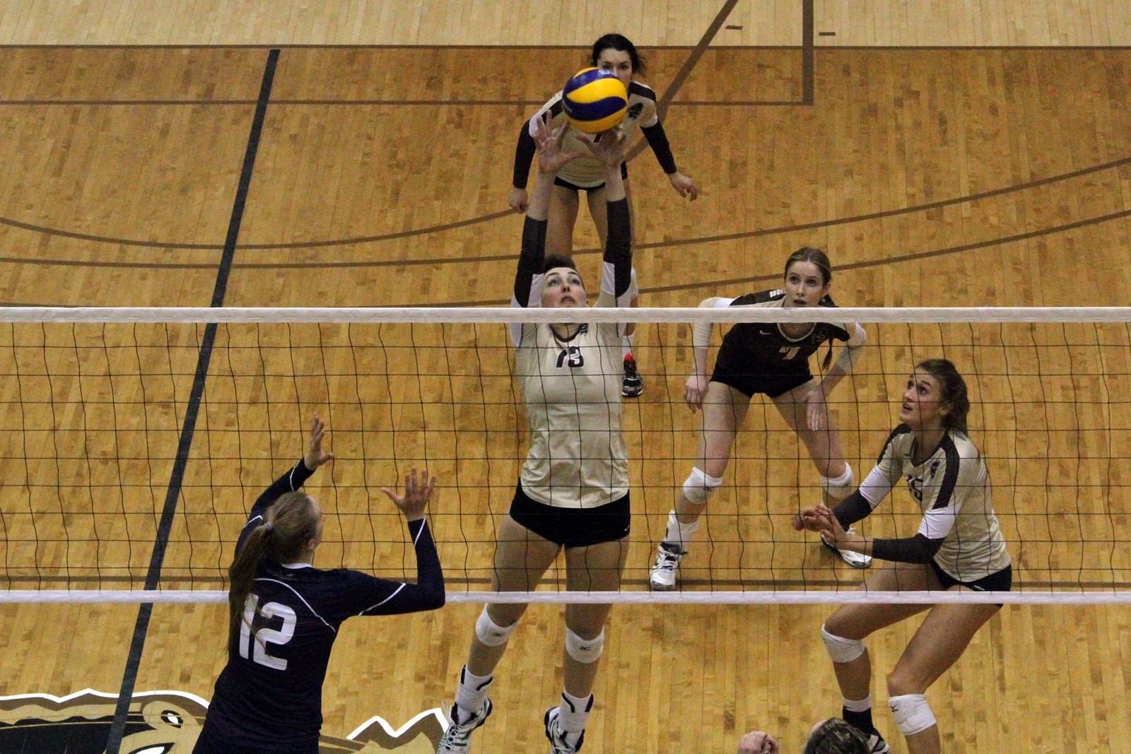 Emily Erickson - Women's Volleyball - University of Manitoba Athletics