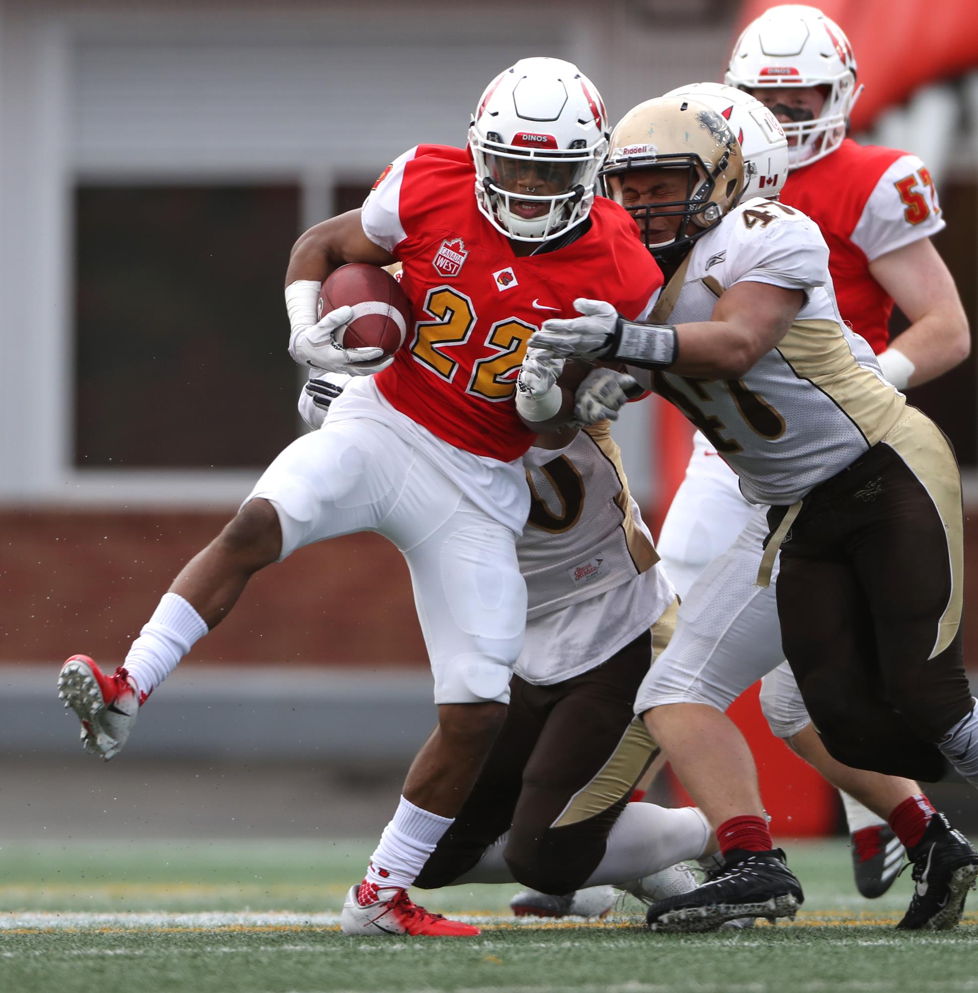 FB: Bisons start strong, but Calgary dominates late to advance to the ...