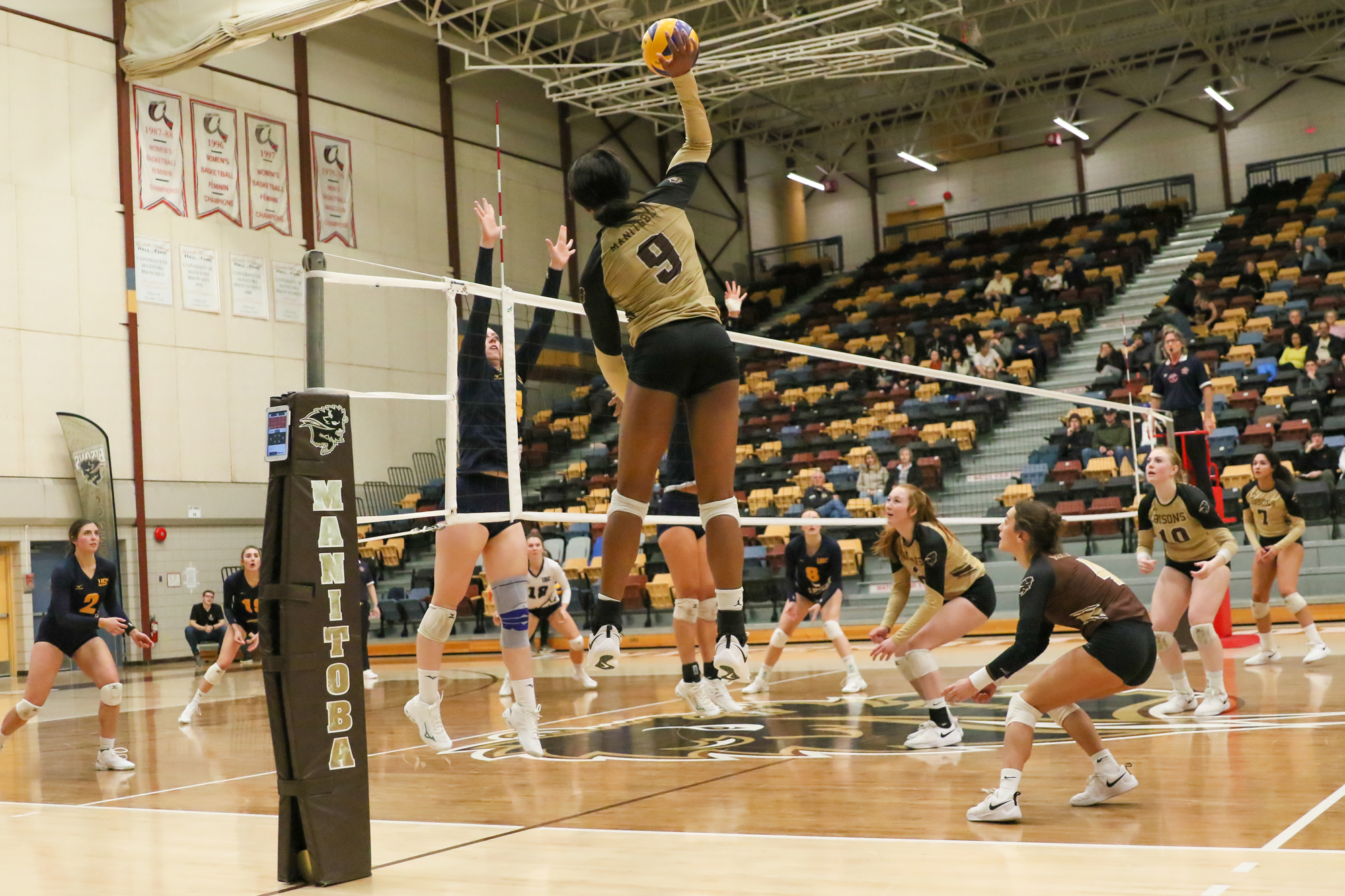 SEASON PREVIEW: Bisons women's volleyball young, but have definite ...