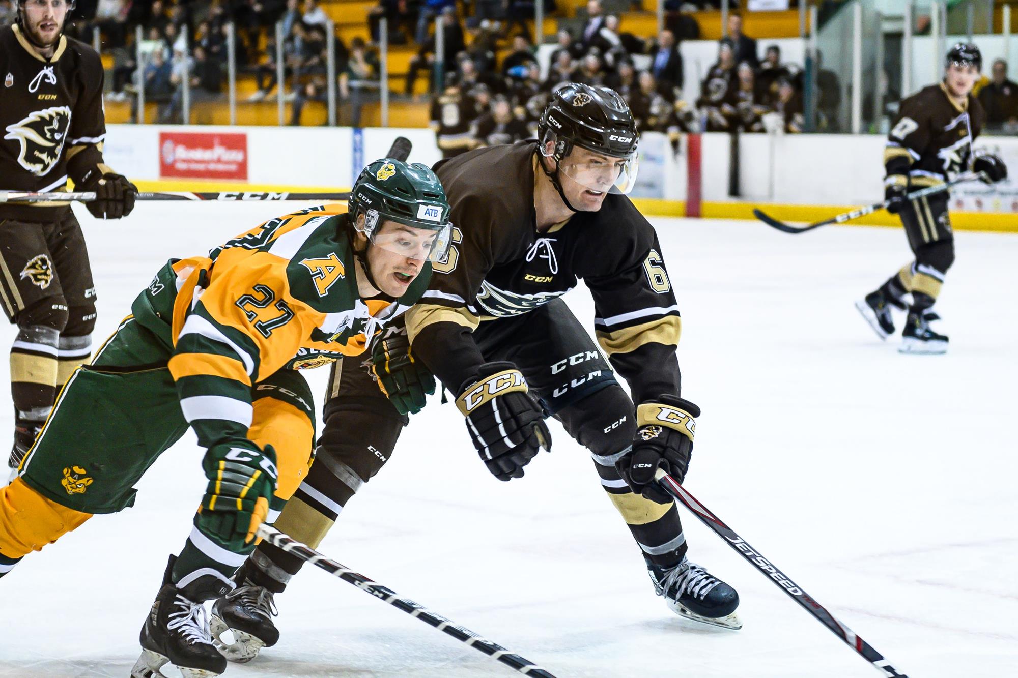 MHKY: Bisons end regular season with 5-2 loss to No. 4 Alberta ...