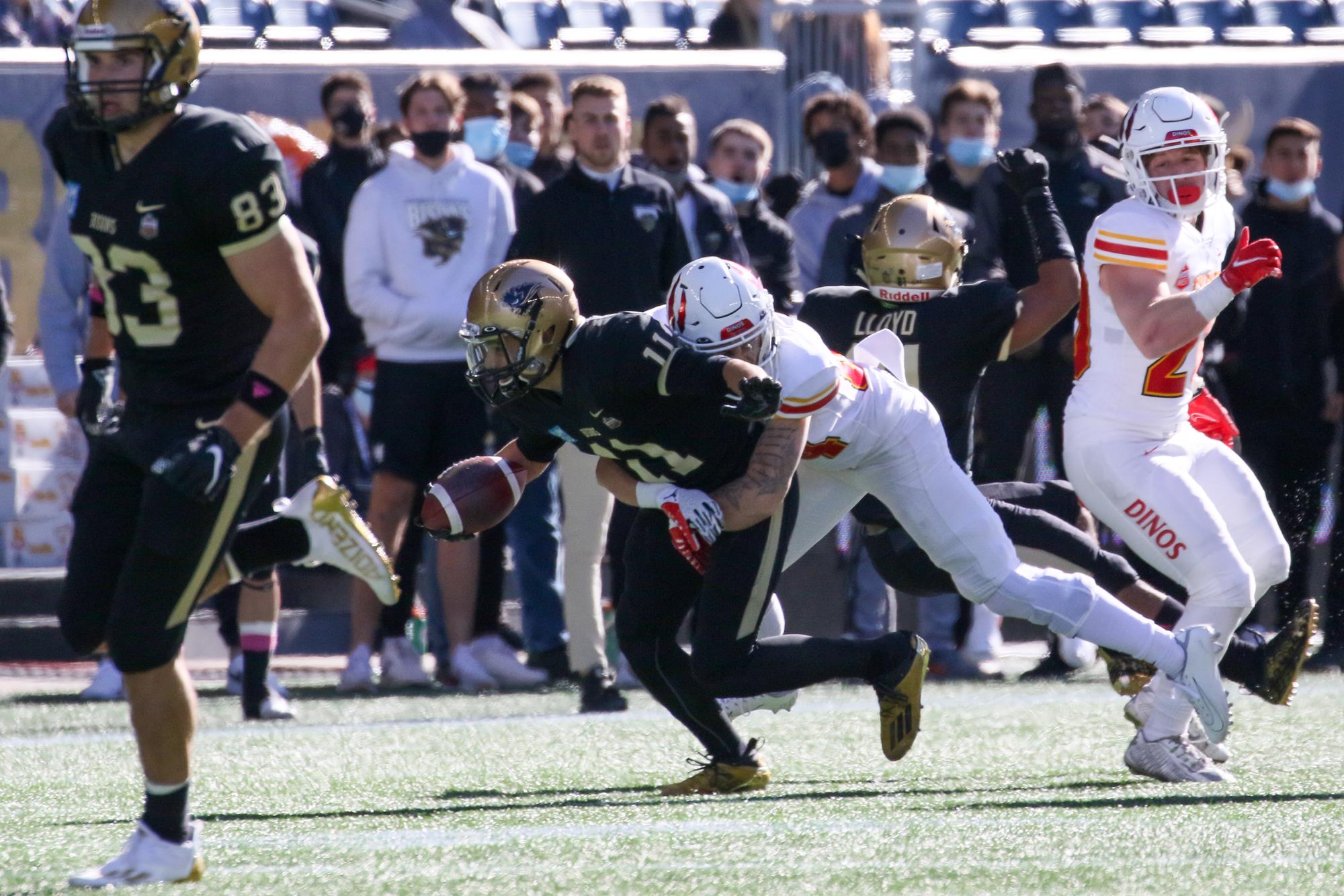 Gavin Cobb - Football - University of Manitoba Athletics