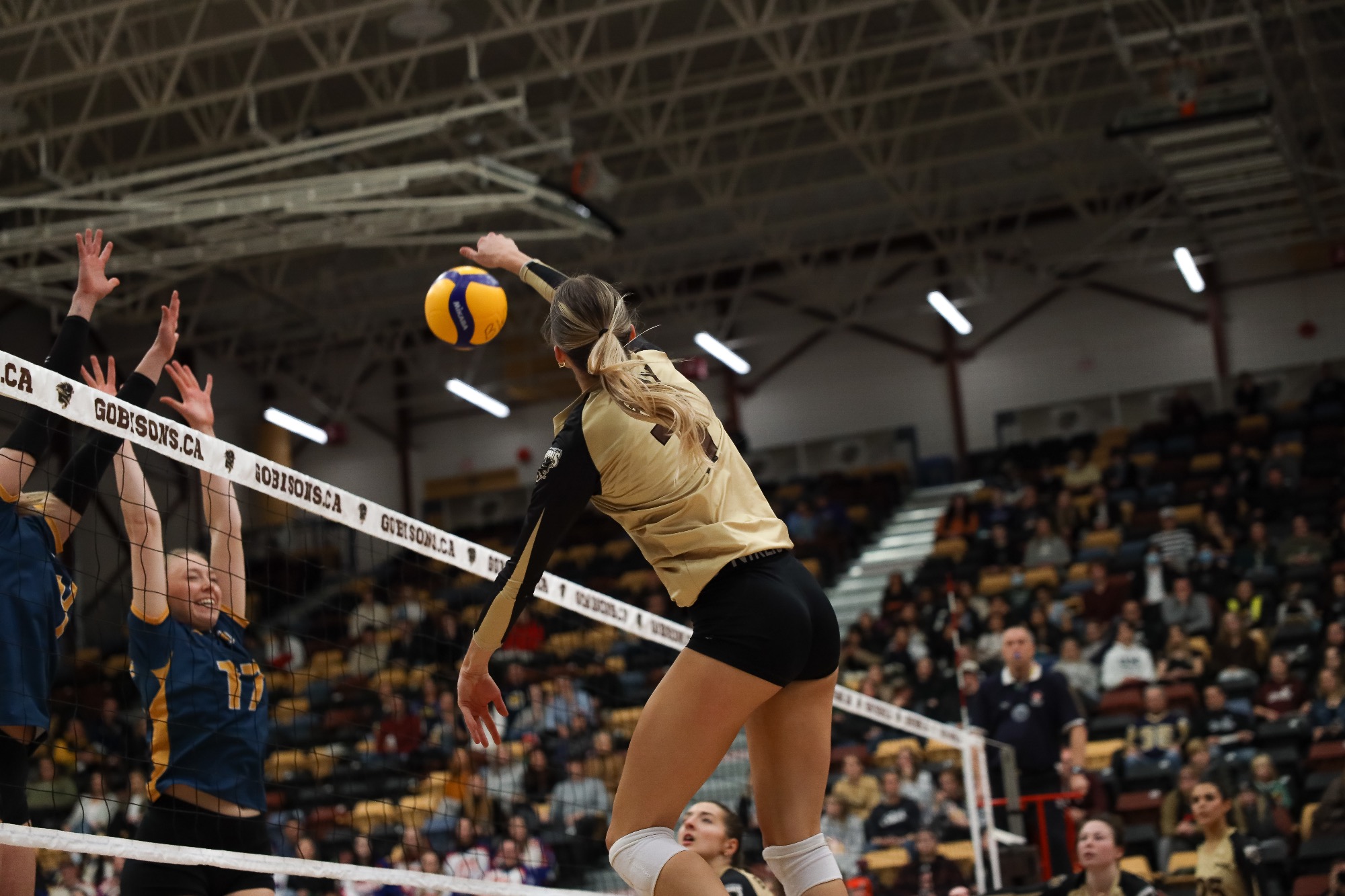WVB: Bisons take down provincial rival Bobcats in straight-sets at home ...